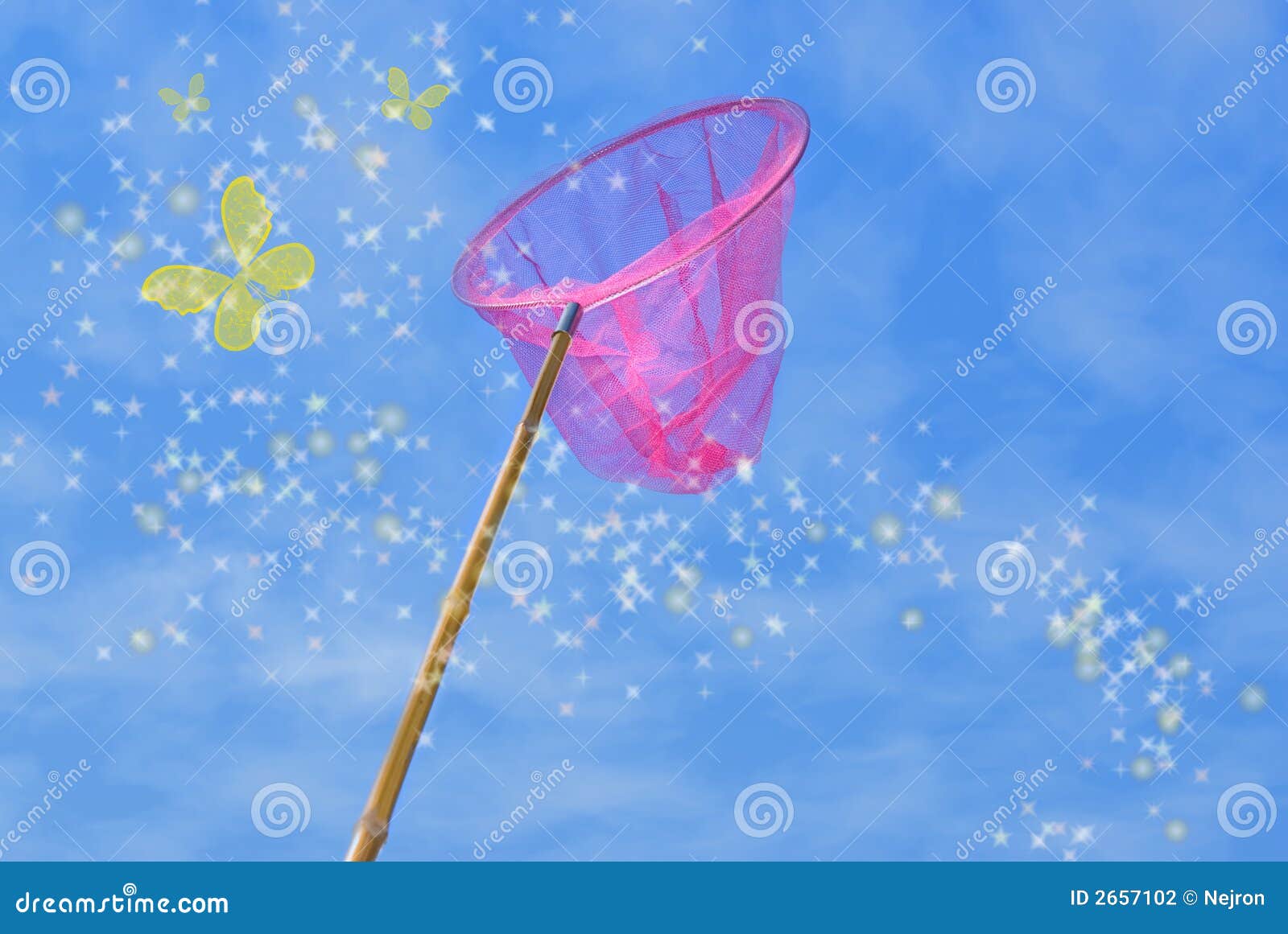 Pink Butterfly Net Stock Photography - Image: 2657102