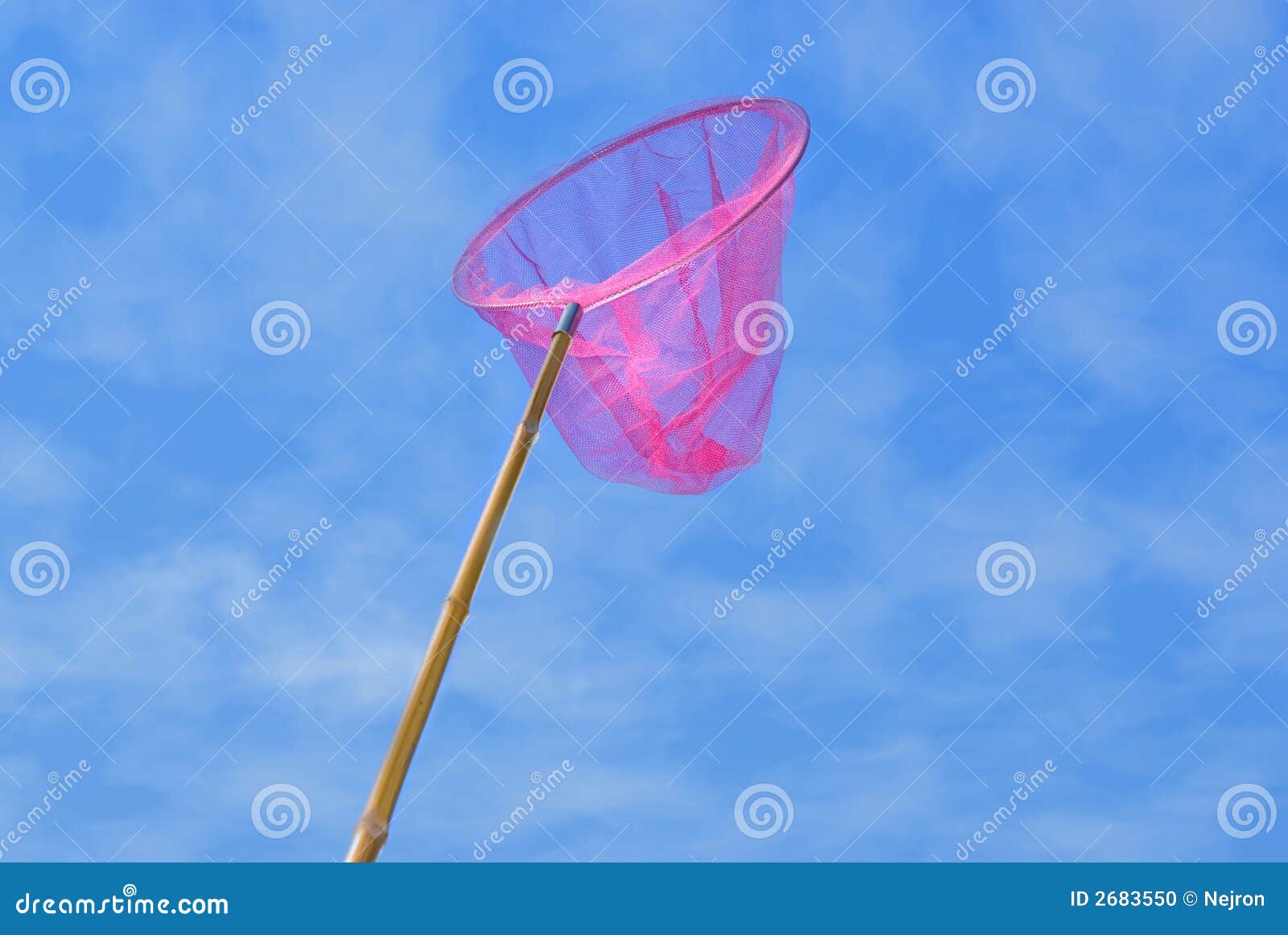 Pink butterfly net stock photo. Image of beauty, wind - 2683550