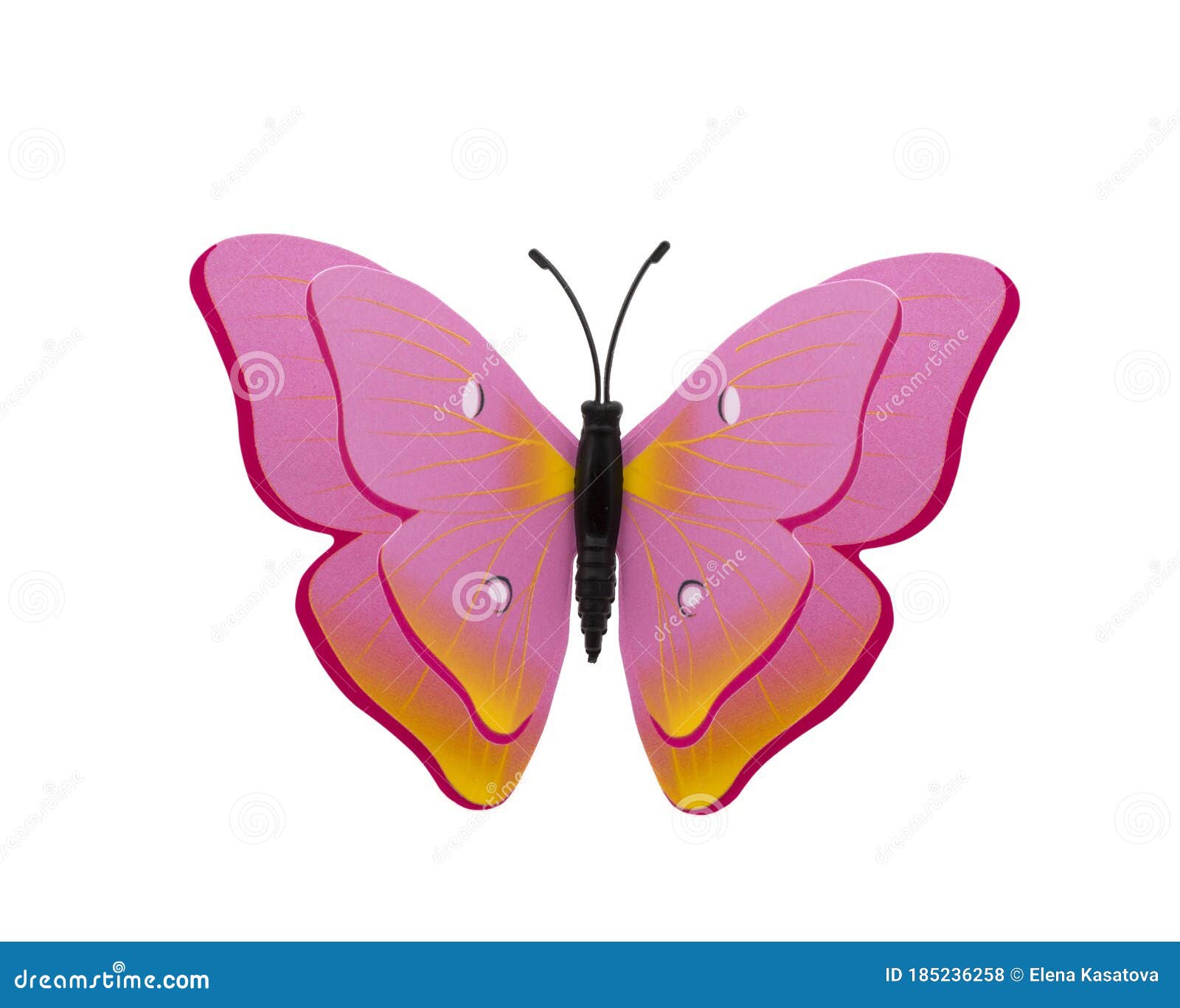 Pink Butterfly on a White Background Stock Photo - Image of beautiful ...