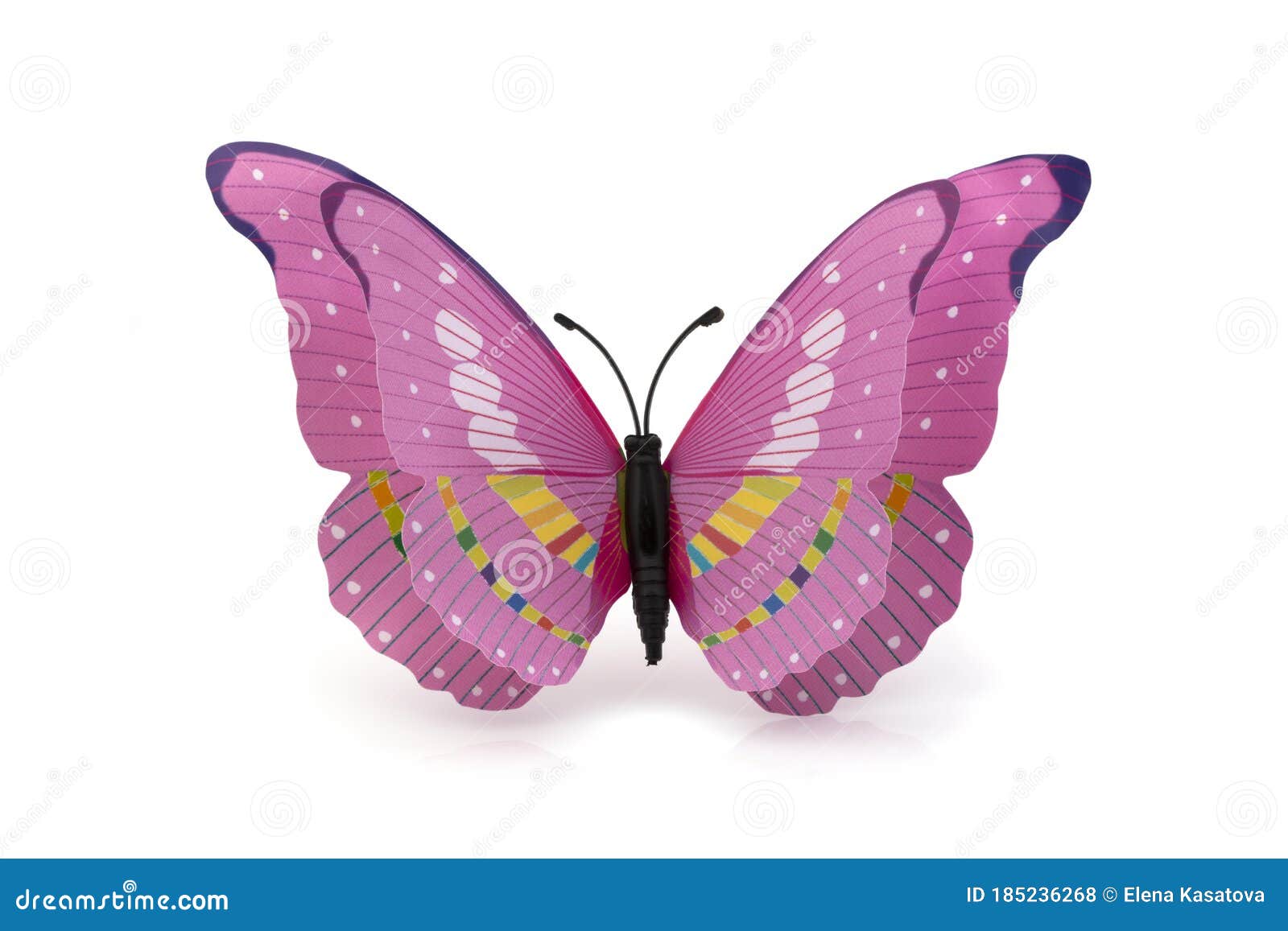 Pink Butterfly on a White Background Stock Photo - Image of butterfly ...