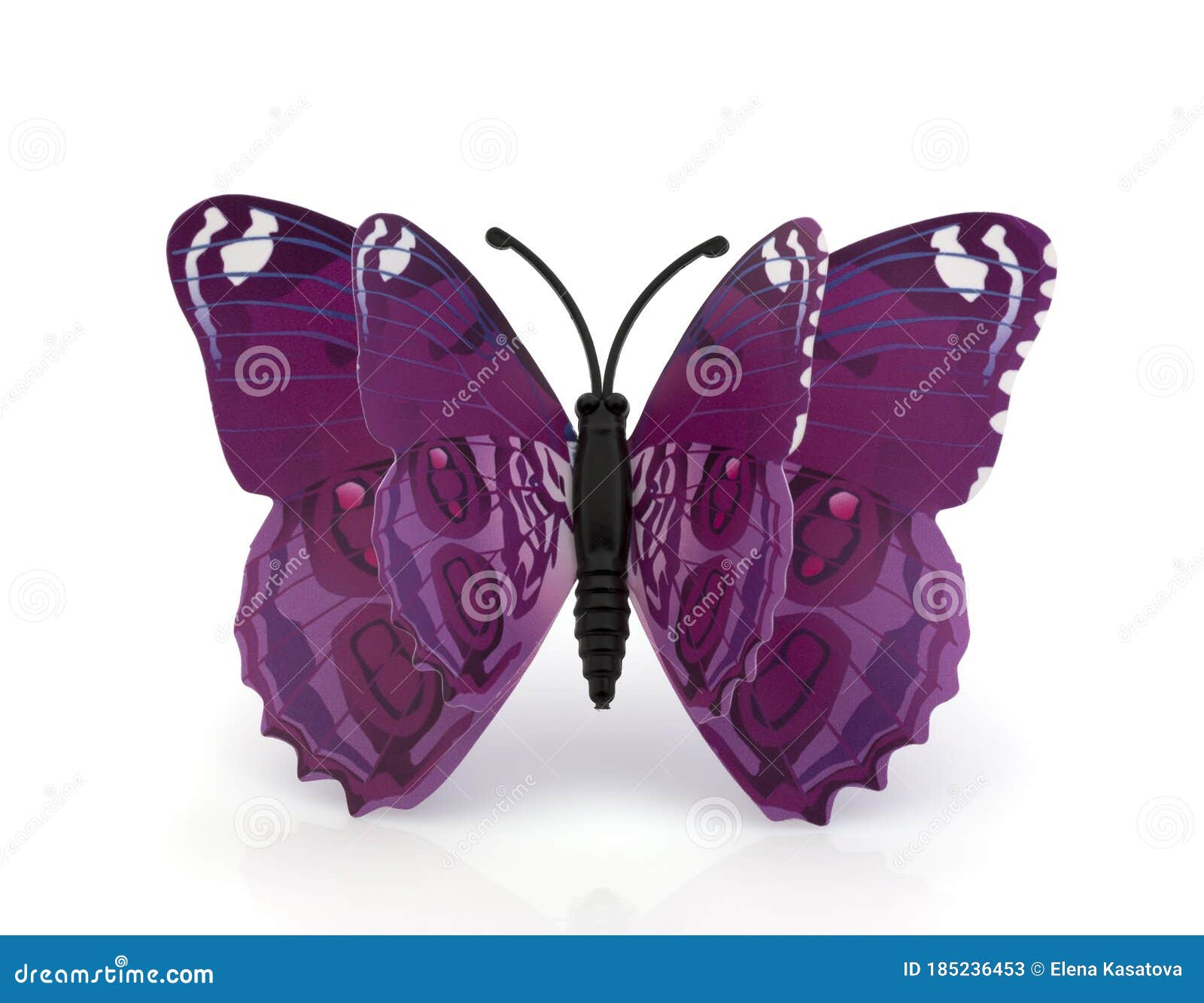 Pink Butterfly on a White Background Stock Image - Image of beautiful ...