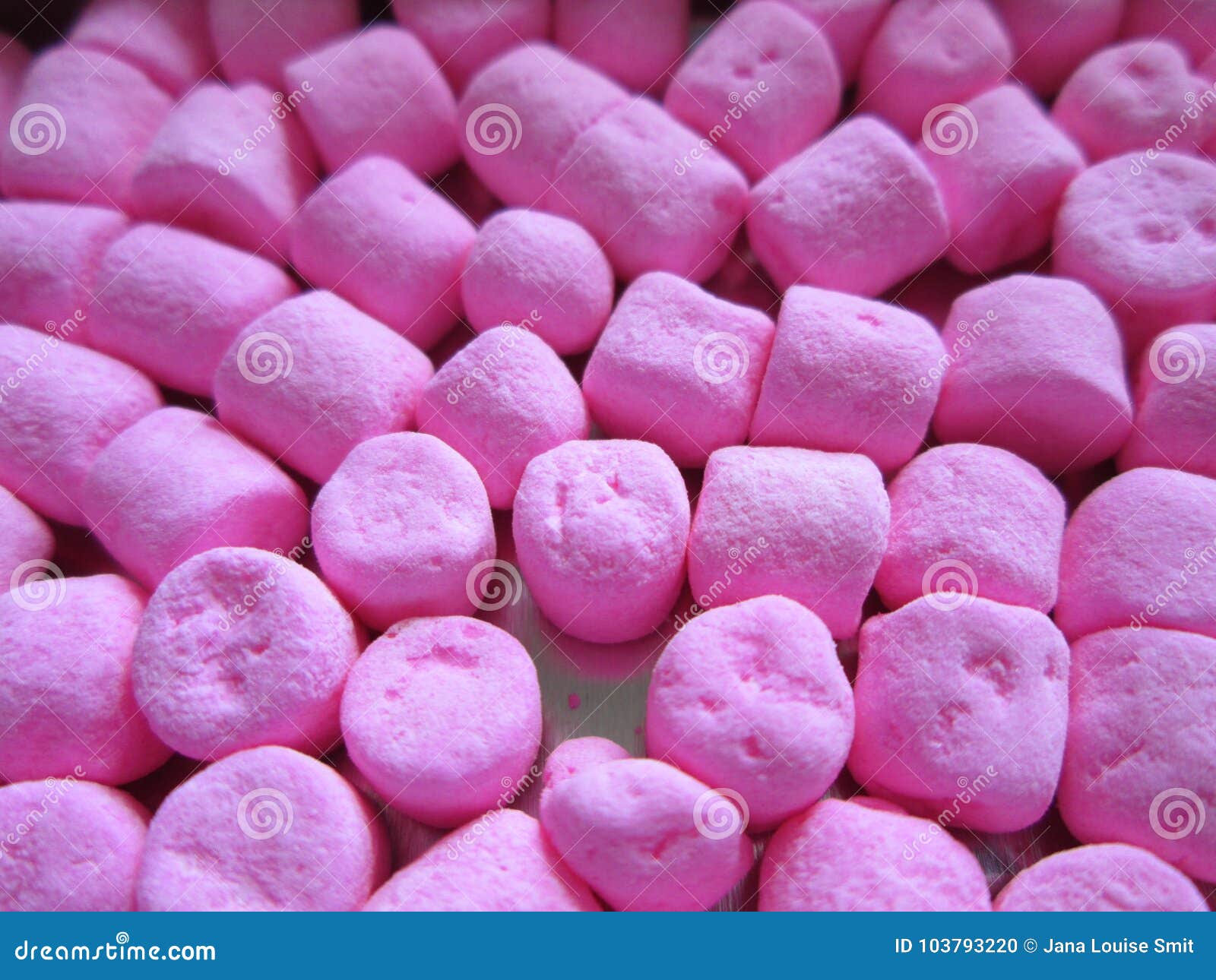Pink Cachous Sweets. stock photo. Image of confection - 103793220