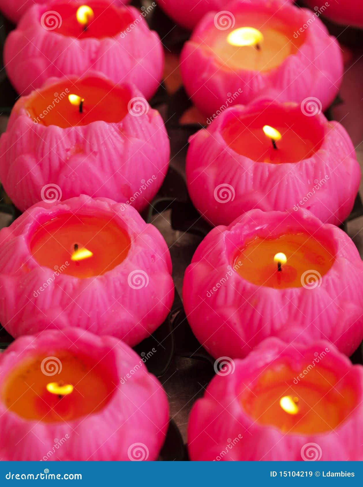 Pink candles stock image. Image of yellow, pink, prayer - 15104219