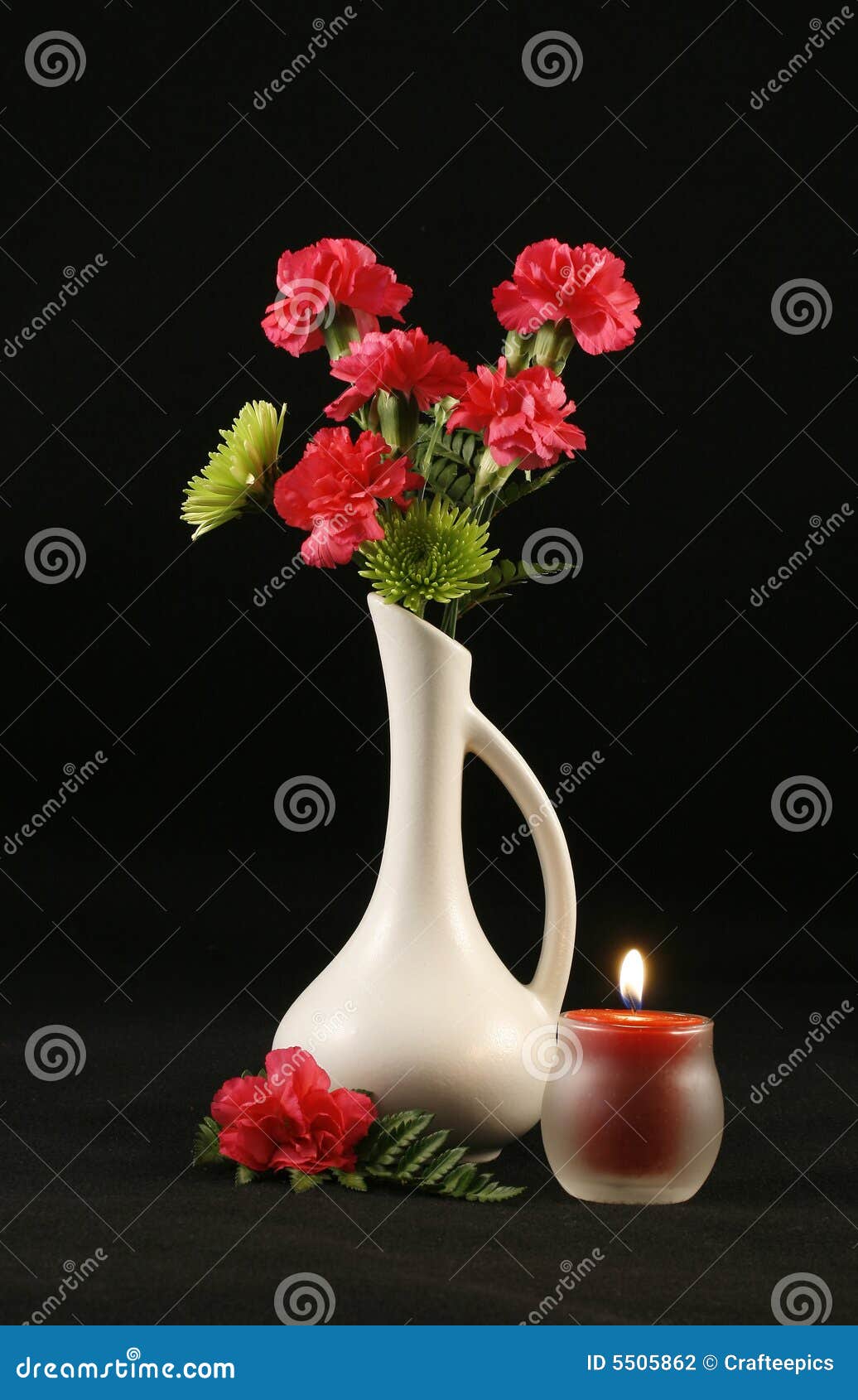 Pink Carnation Still Life stock photo. Image of beauty - 5505862