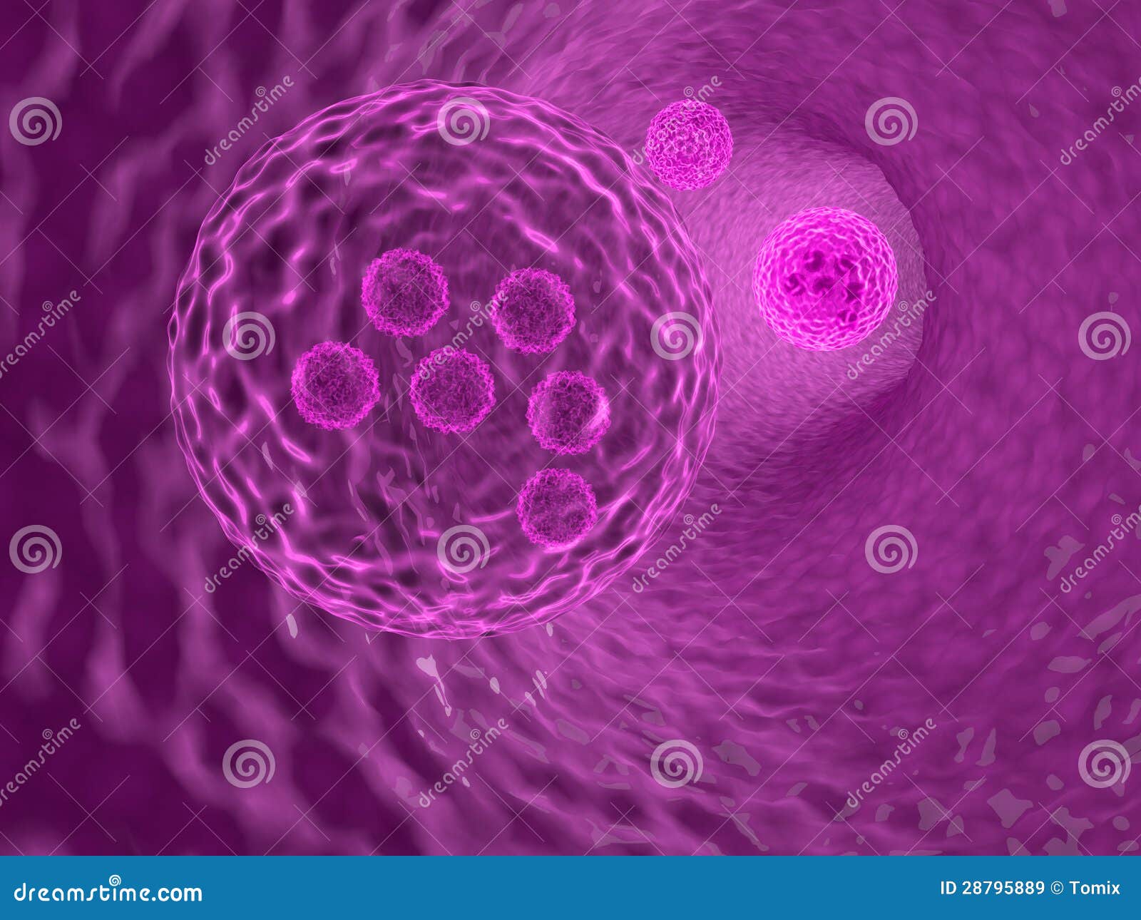 Pink cells stock illustration. Illustration of concept - 28795889