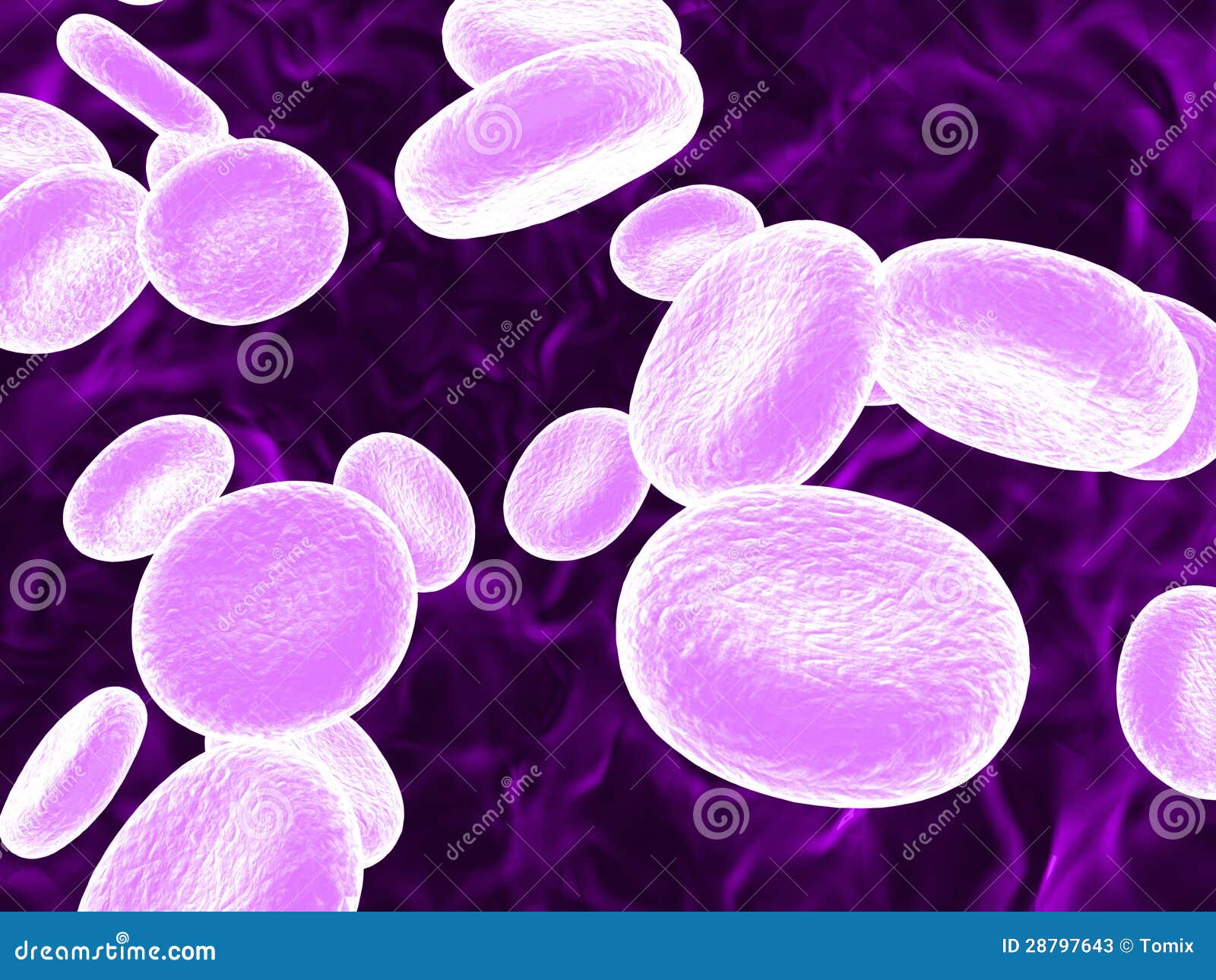 Pink cells stock illustration. Illustration of design - 28797643