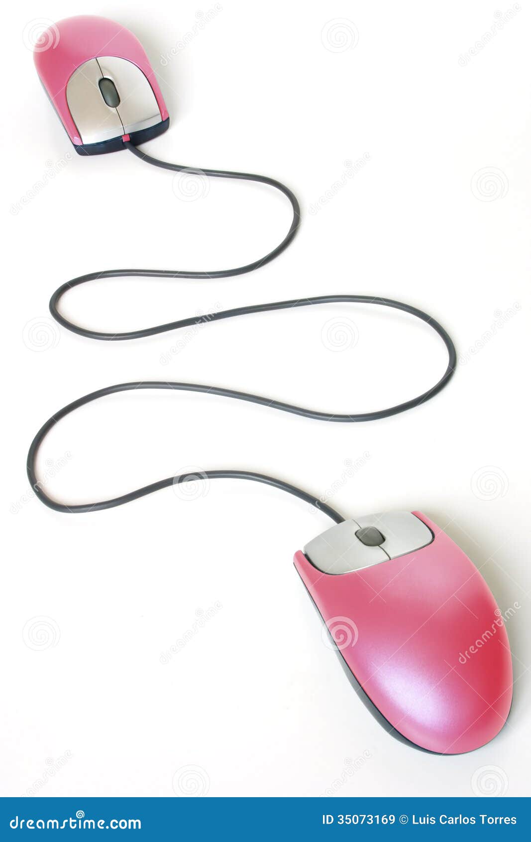 Pink Chat stock image. Image of mouse, romance, network - 35073169