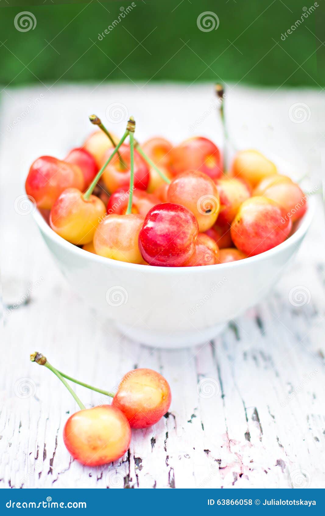 Pink Cherries Stock Photo | CartoonDealer.com #63866058