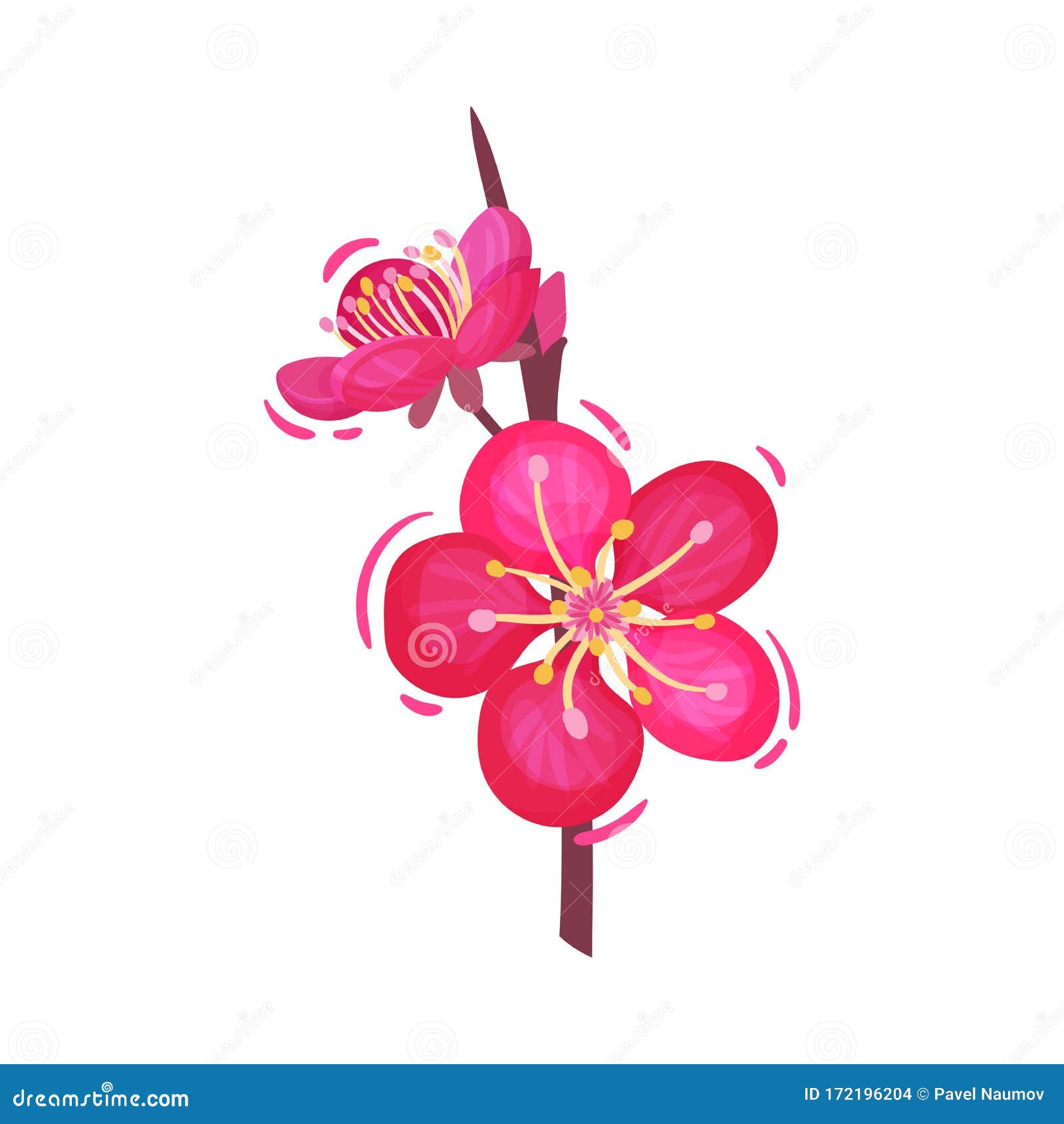 Pink Cherry Blossom on Stem Decorative Vector Element Isolated on White ...