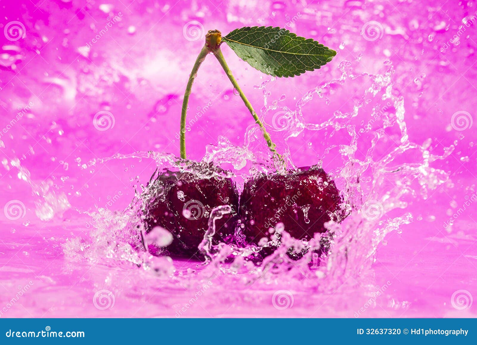 Pink Cherry Splash stock photo. Image of joined, gardening - 32637320