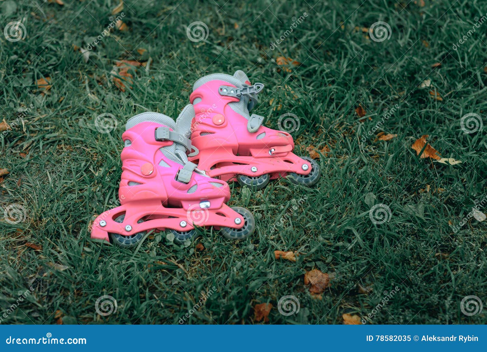 Pink Children S Roller Skates Lying on Green Grass Stock Image - Image ...