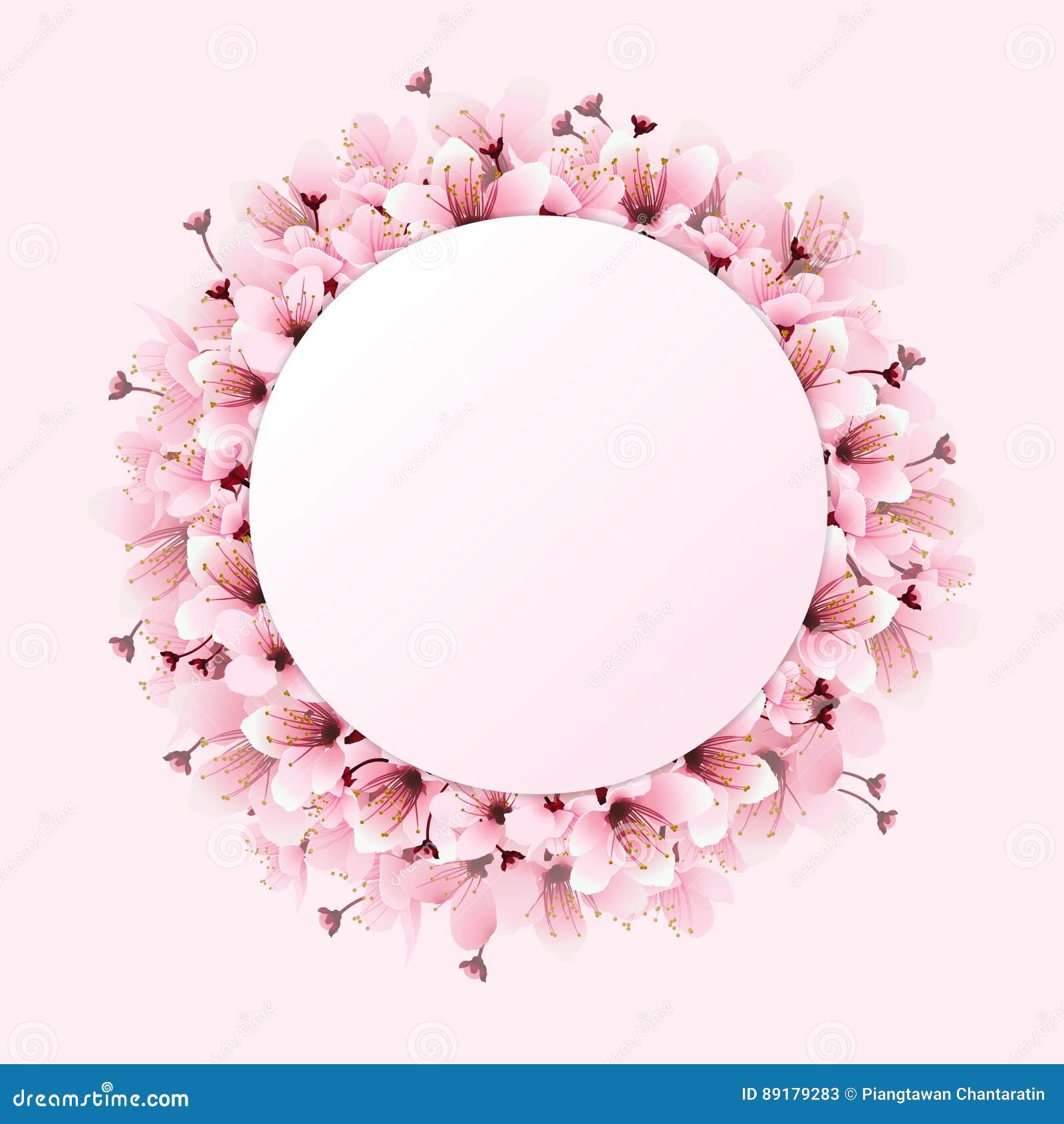 Pink Circle Space with Flower Stock Vector - Illustration of cherry ...