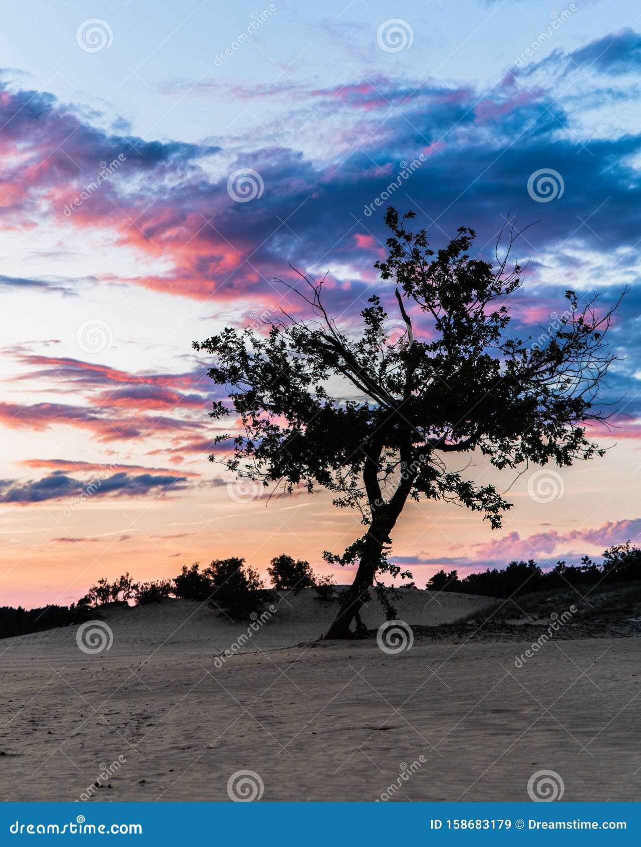 Pink clouded tree stock image. Image of scene, view - 158683179