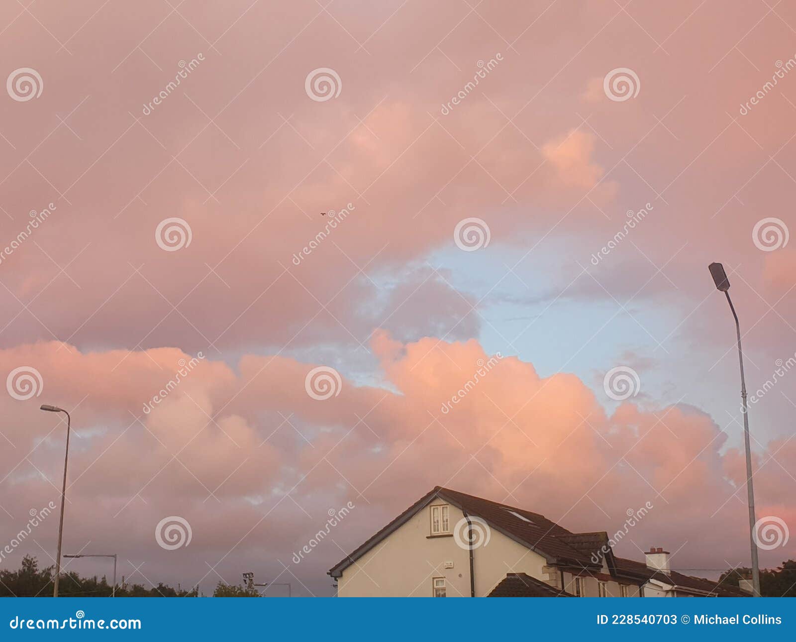 Pink Clouds at Sunset stock image. Image of cloud, horizon - 228540703