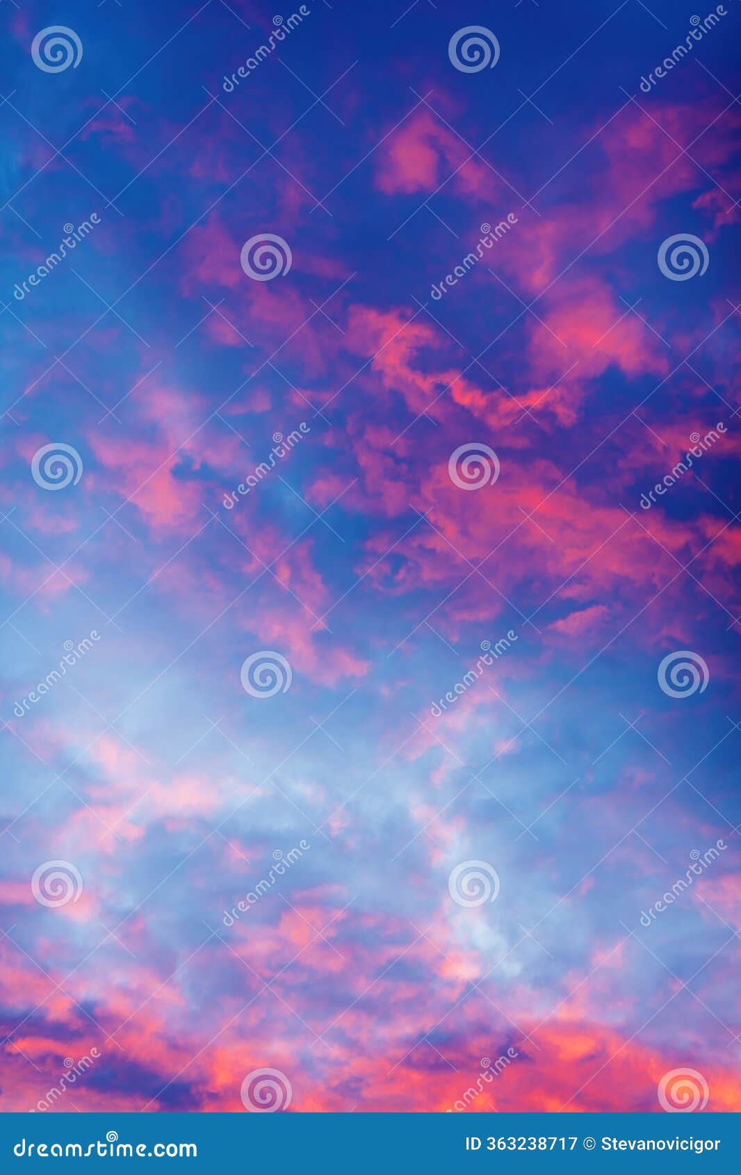 Pink Clouds on Vibrant Blue Sunset Sky As Natural Background Stock ...