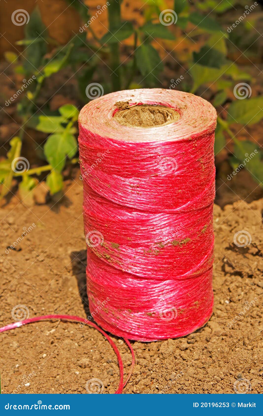 Pink coil on the soil stock image. Image of pink, aperture - 20196253
