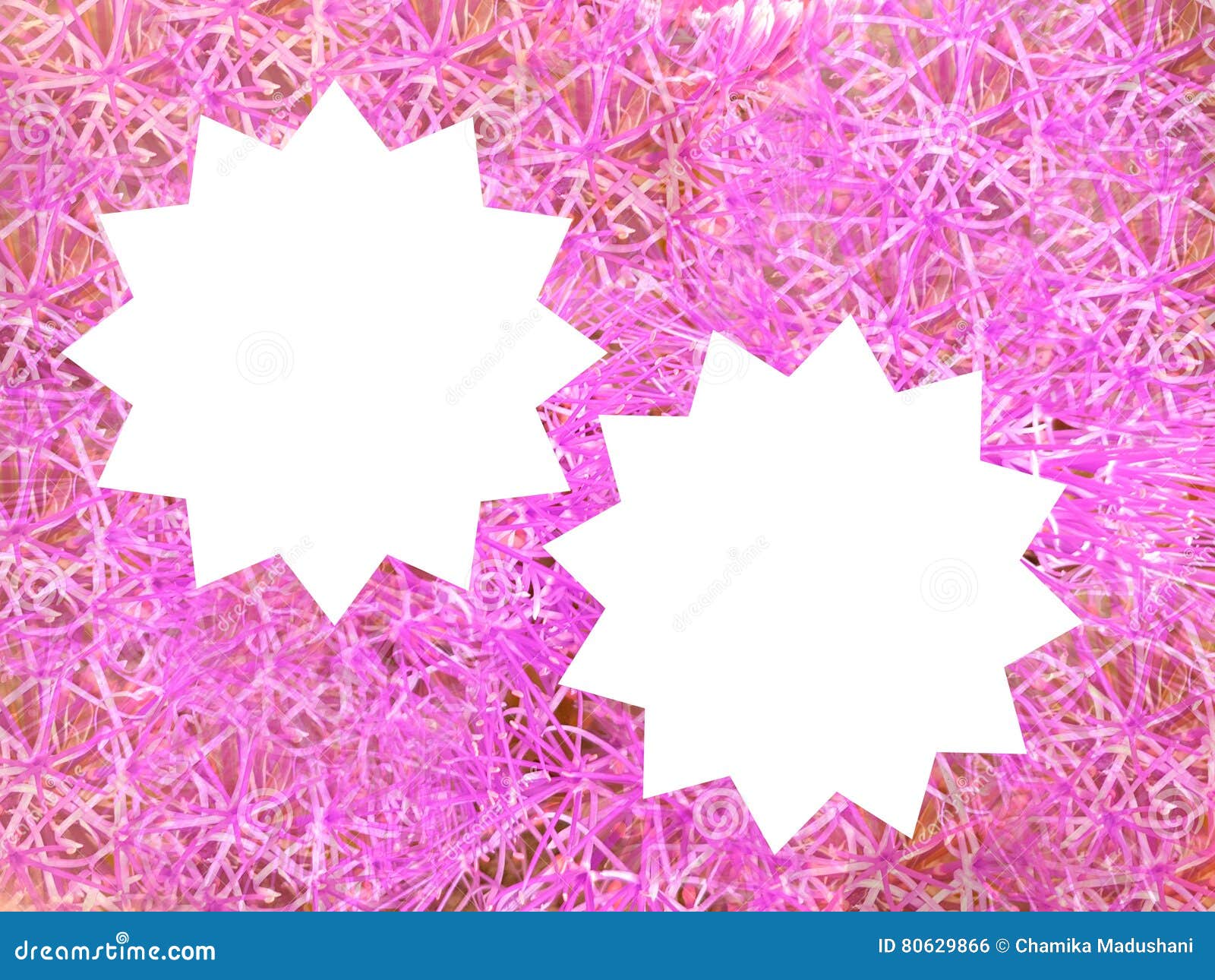 Pink Color Frame stock photo. Image of frame, pink, collage - 80629866