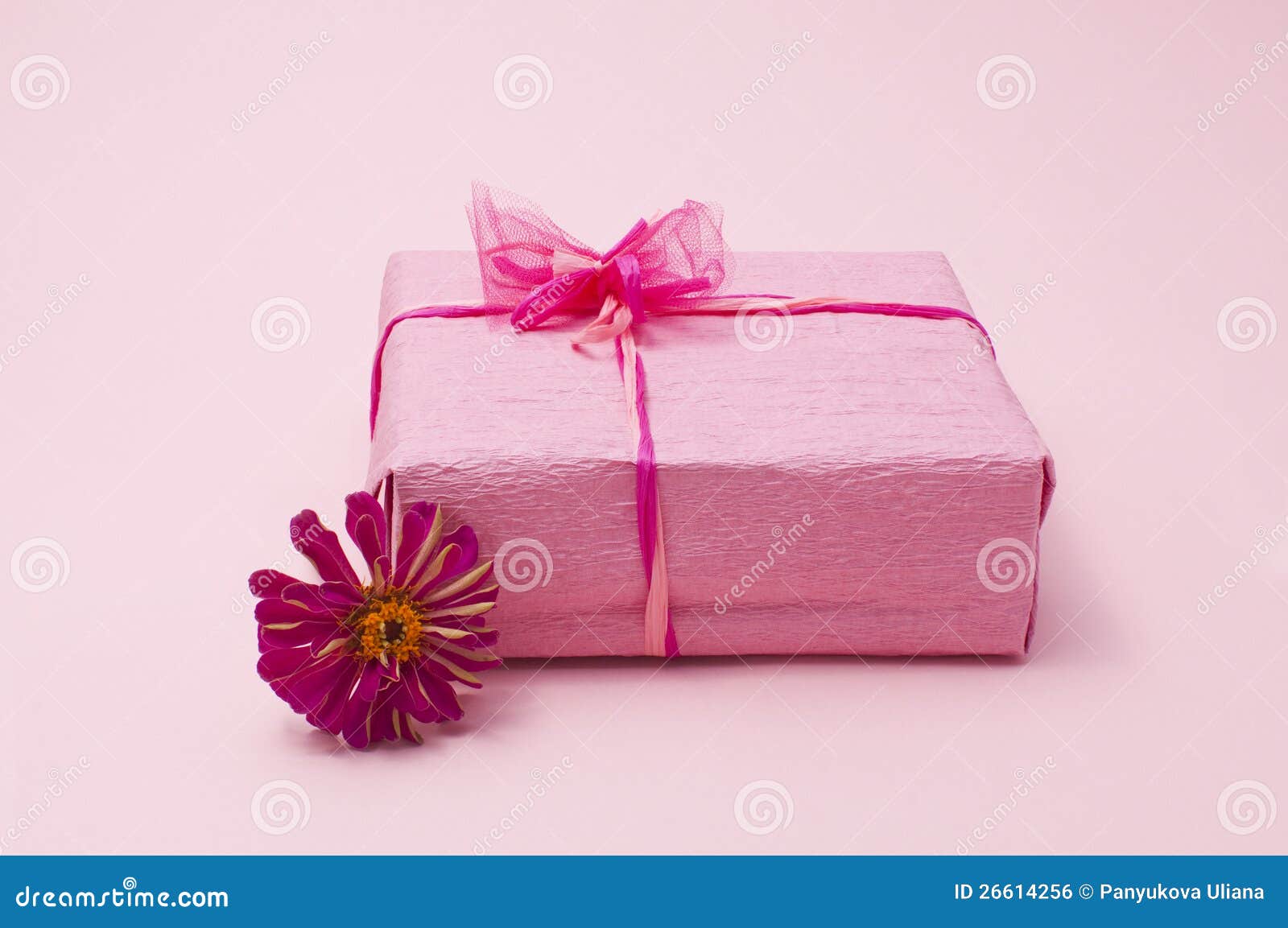 Pink color gift box stock photo. Image of celebration - 26614256
