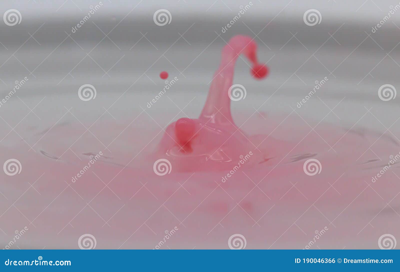 Pink Color Water Drop and Splash Stock Photo - Image of clean, creative ...