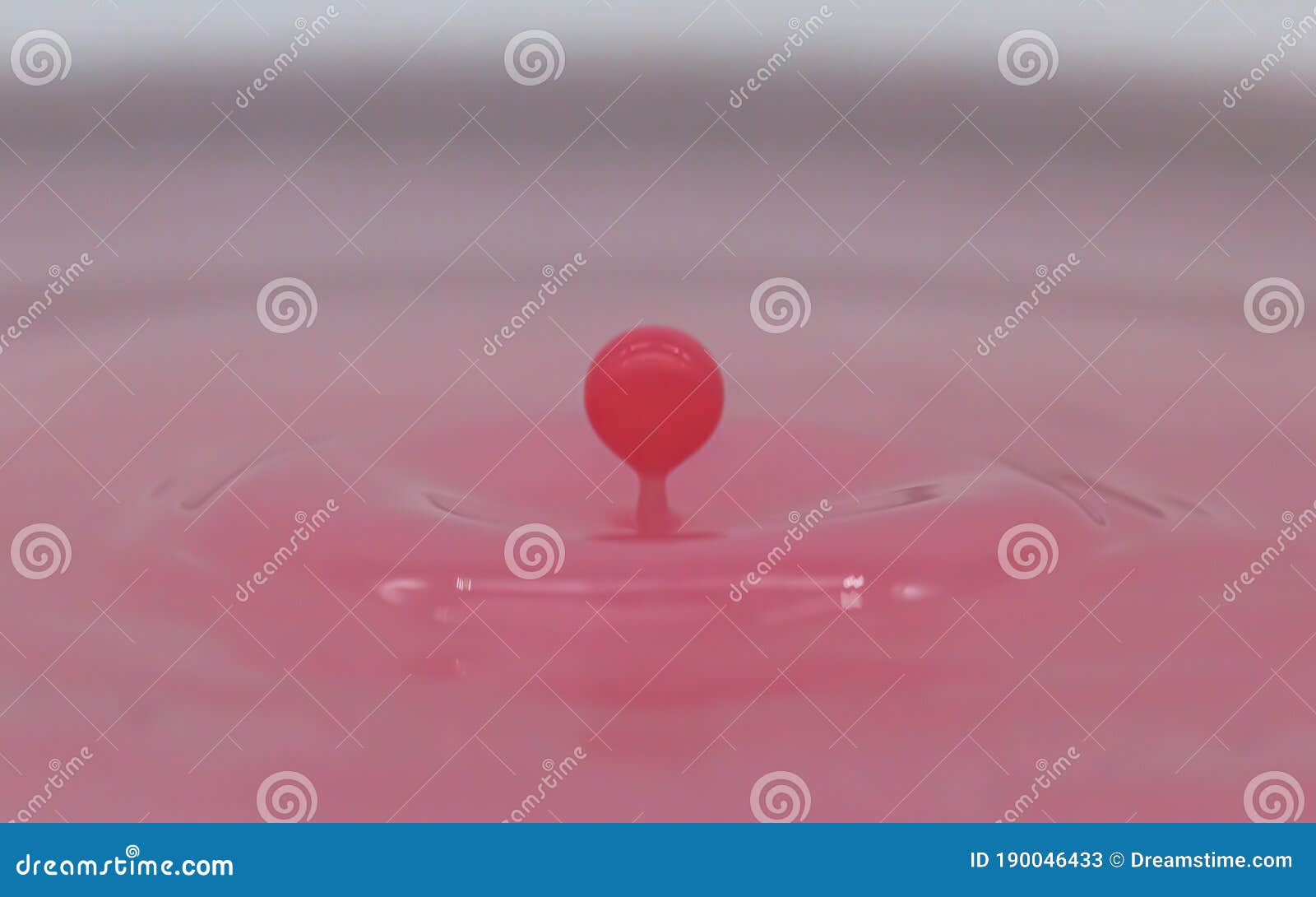 Pink Color Water Drop and Splash Stock Image - Image of fresh, spashing ...