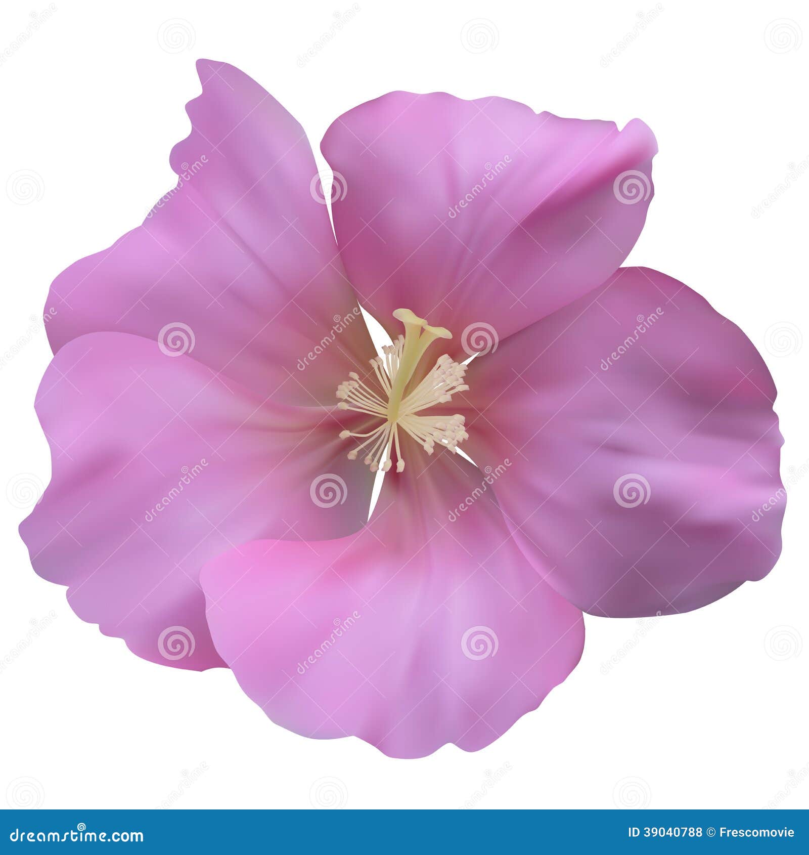 Pink Colored Mallow. stock vector. Illustration of growth - 39040788