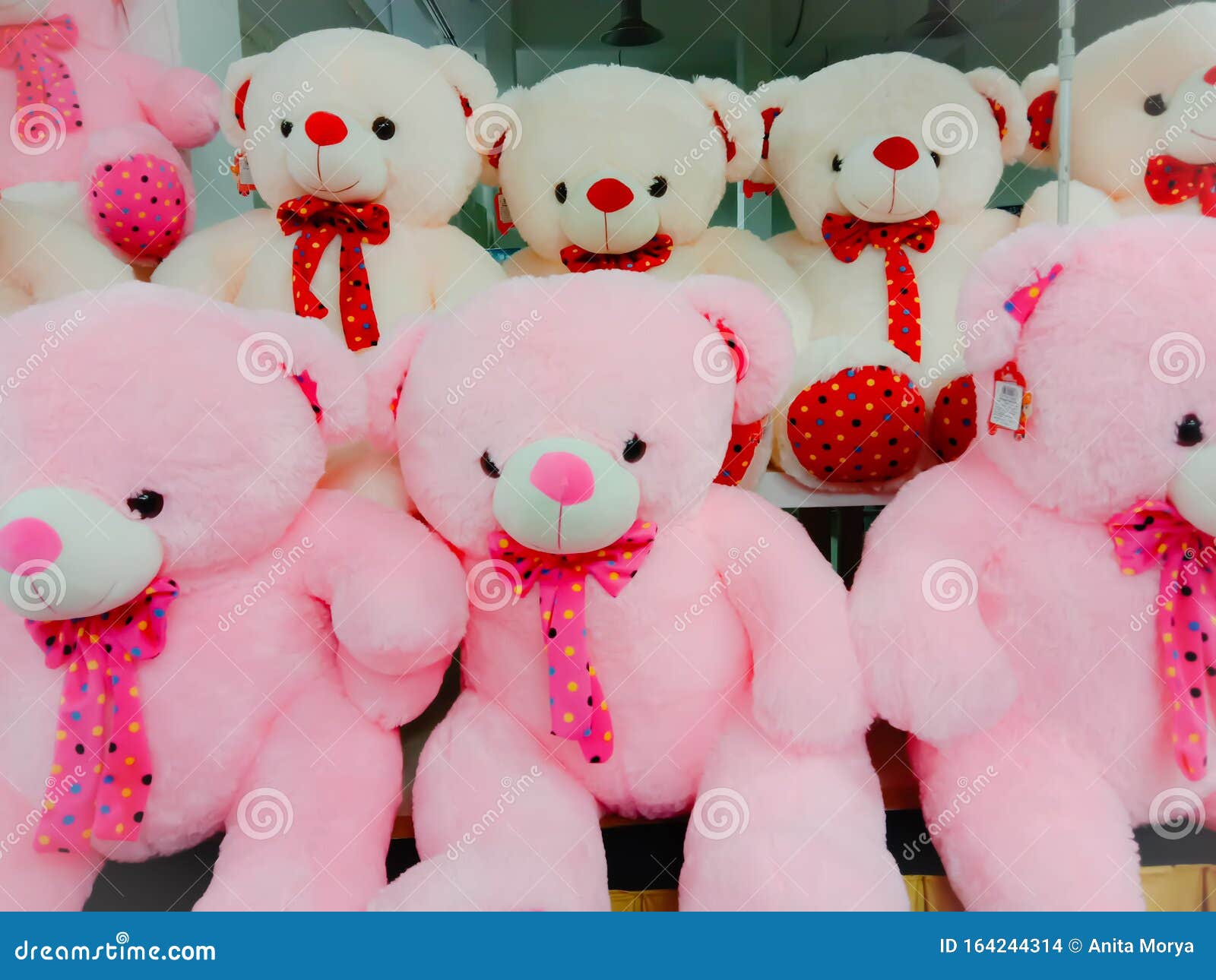 Pink Colored Teddy Bears Sitting Stock Photo - Image of stuffed, teddy ...