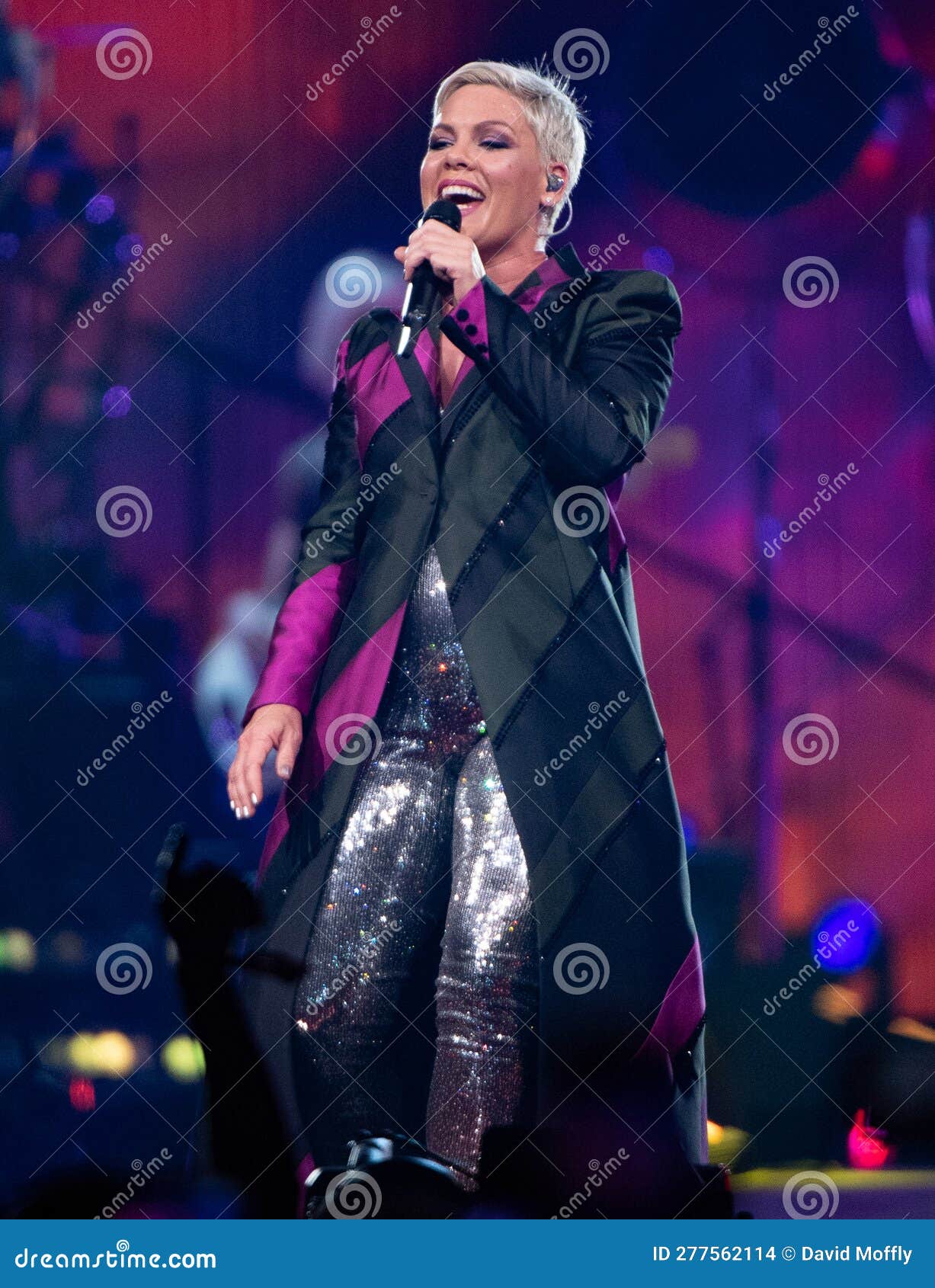 Pink in Concert at the BB&T Center in Florida Editorial Stock Image ...