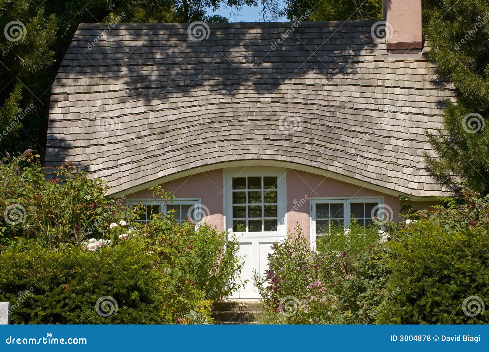Pink Cottage stock photo. Image of cottage, windows, chimney - 3004878