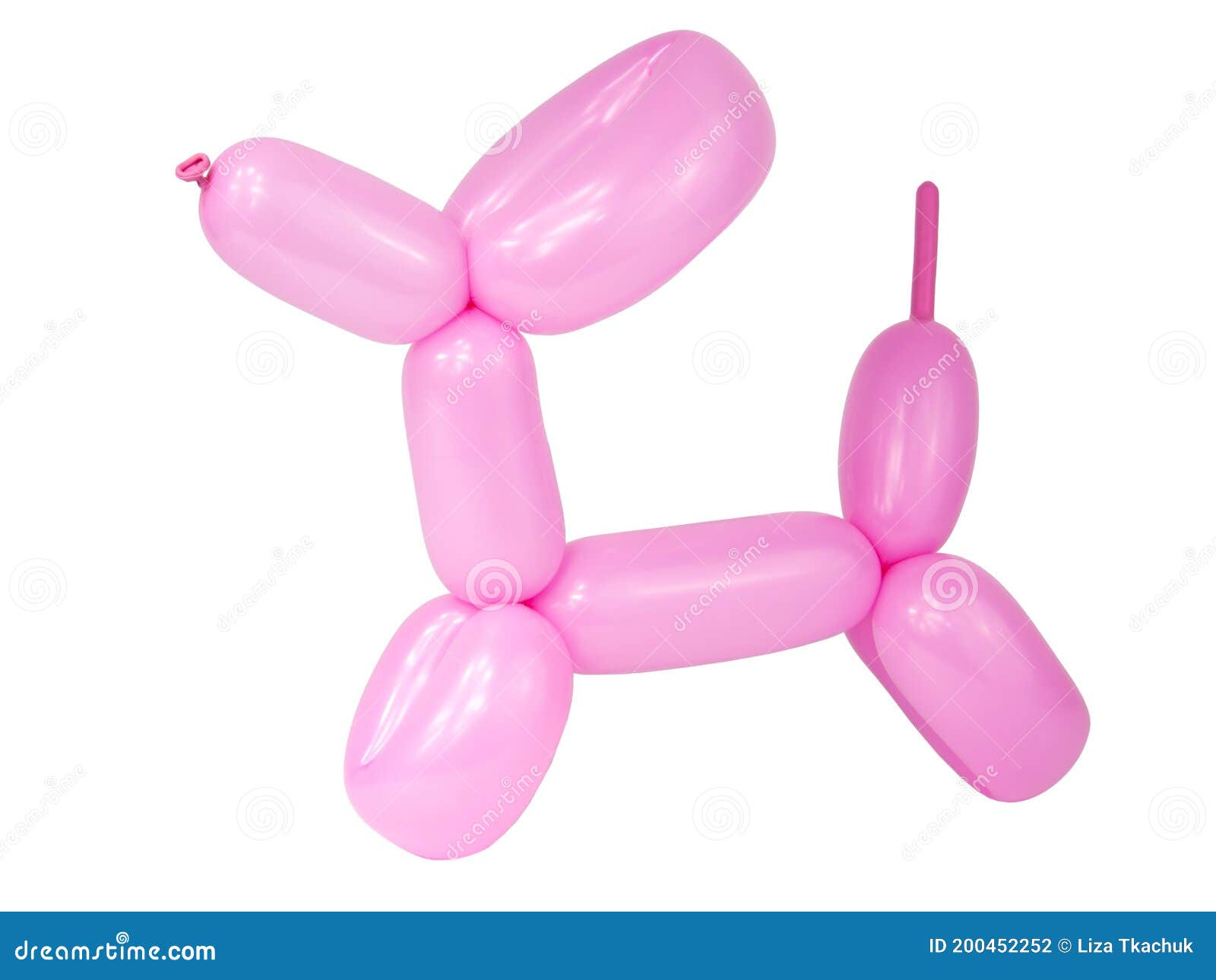 Pink Craft Balloon Dog Isolated on the White Stock Photo - Image of ...