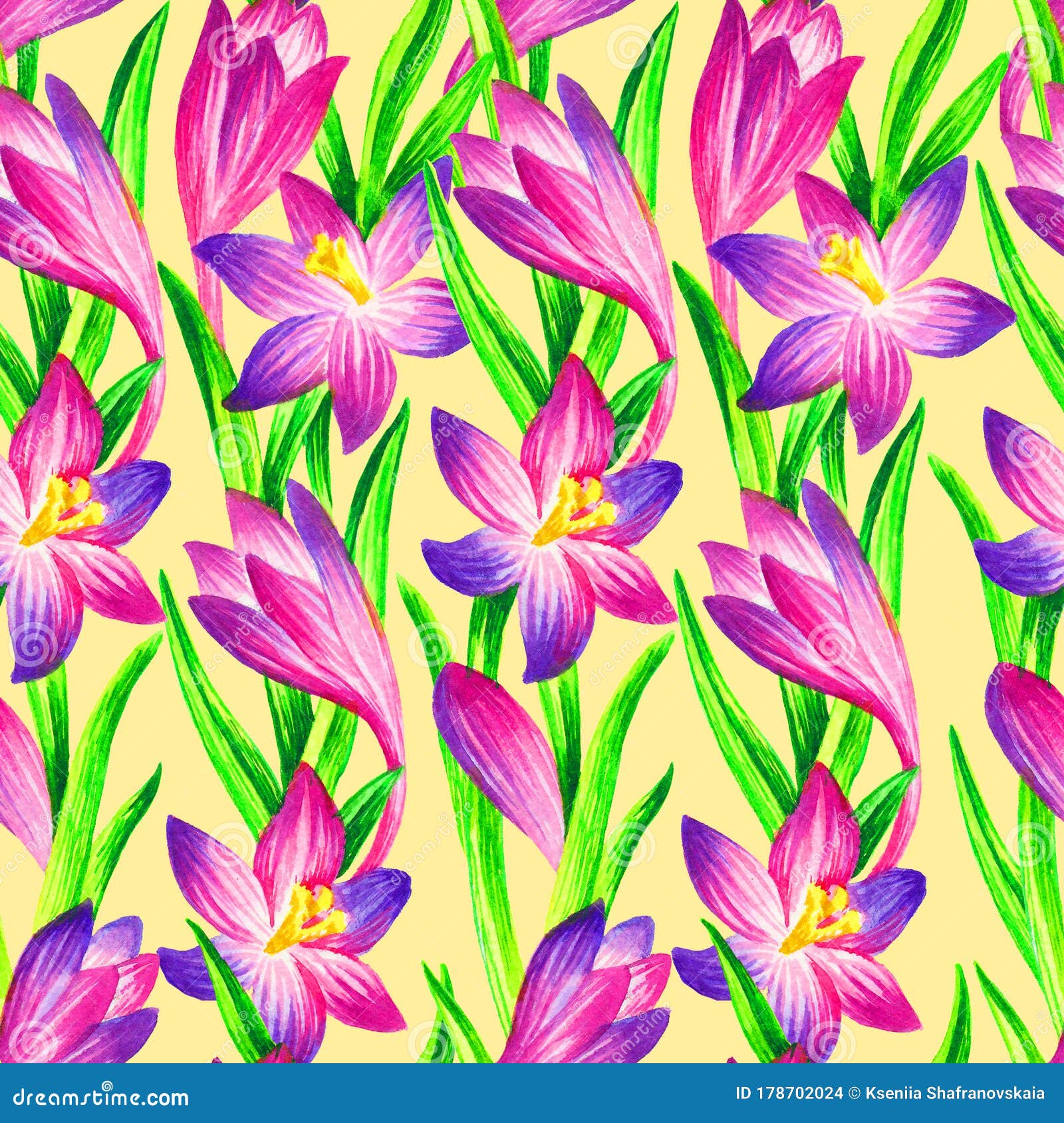 Pink Crocus Watercolor Seamless Pattern Stock Illustration ...