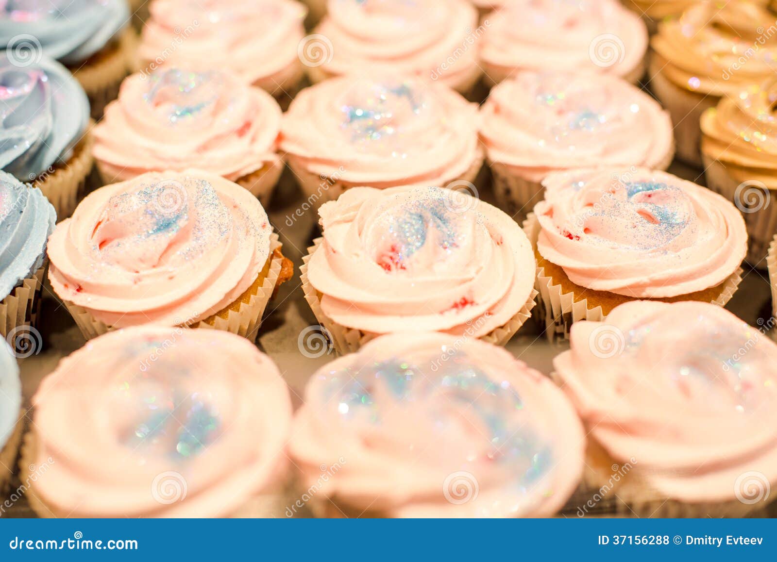 Pink Cupcake Close Up stock photo. Image of delicious - 37156288