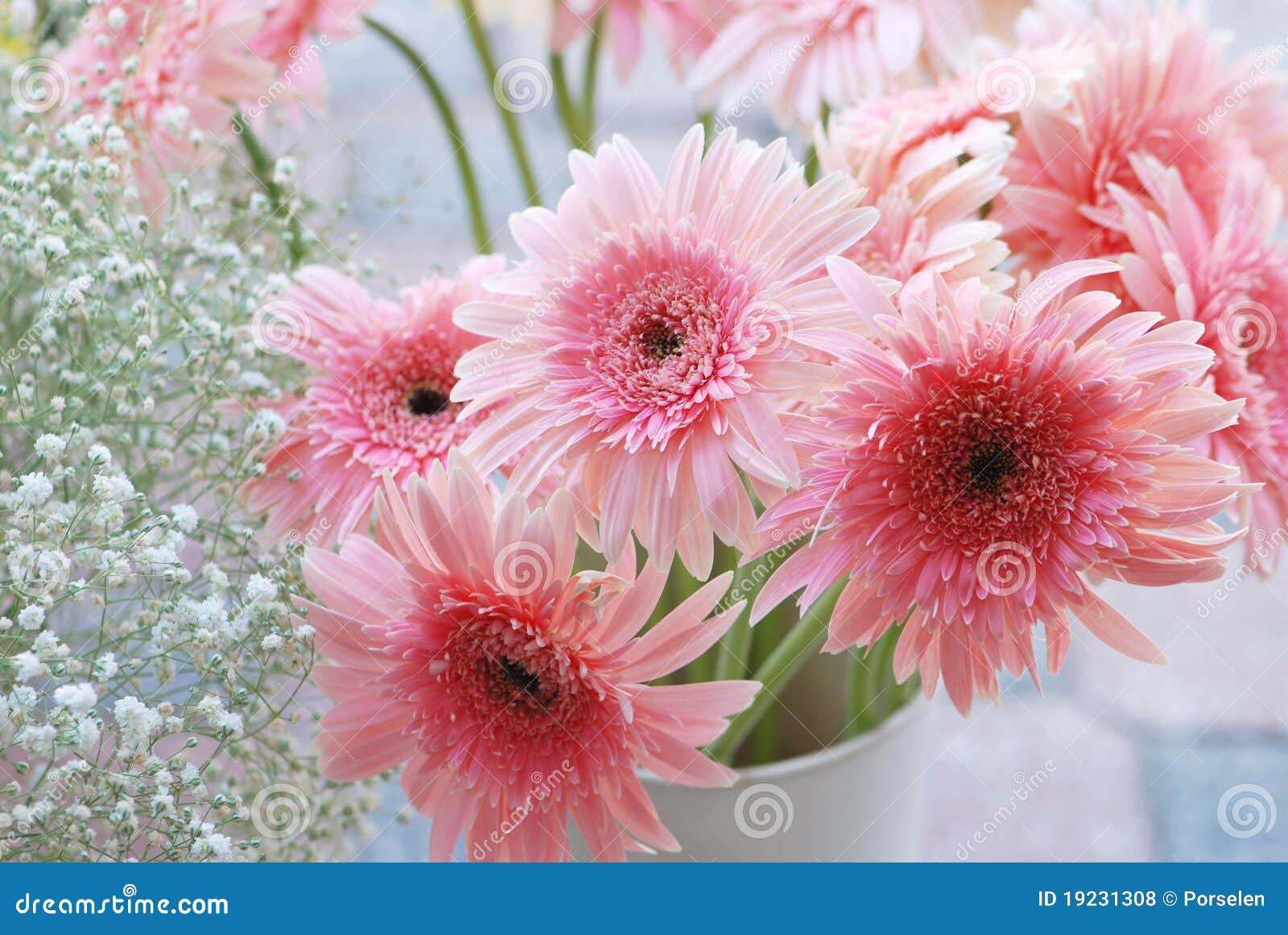 Pink daisy stock photo. Image of flora, detail, fresh - 19231308
