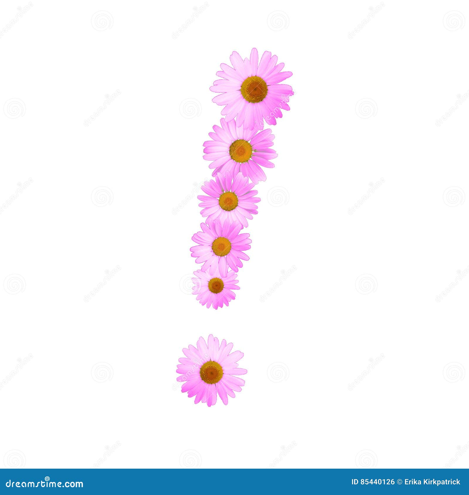 Pink Daisy Exclamation Point Stock Illustration - Illustration of ...
