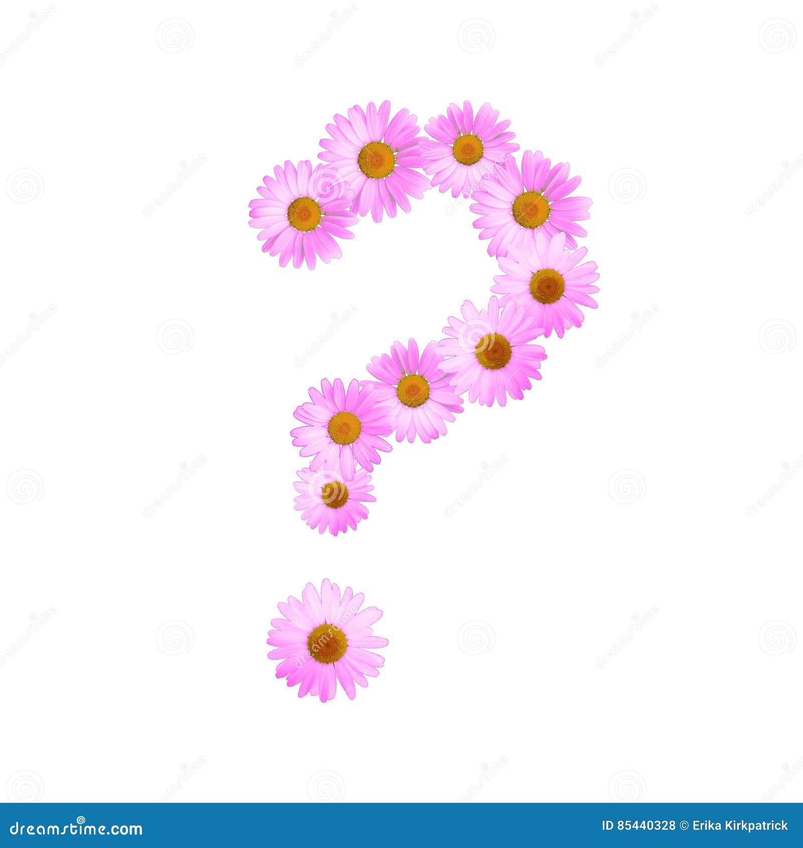 Pink Daisy Question Mark stock illustration. Illustration of bloom ...
