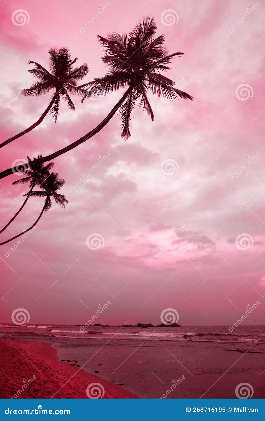 Pink Dawn on Coast, Toned in Pink Stock Image - Image of beach ...