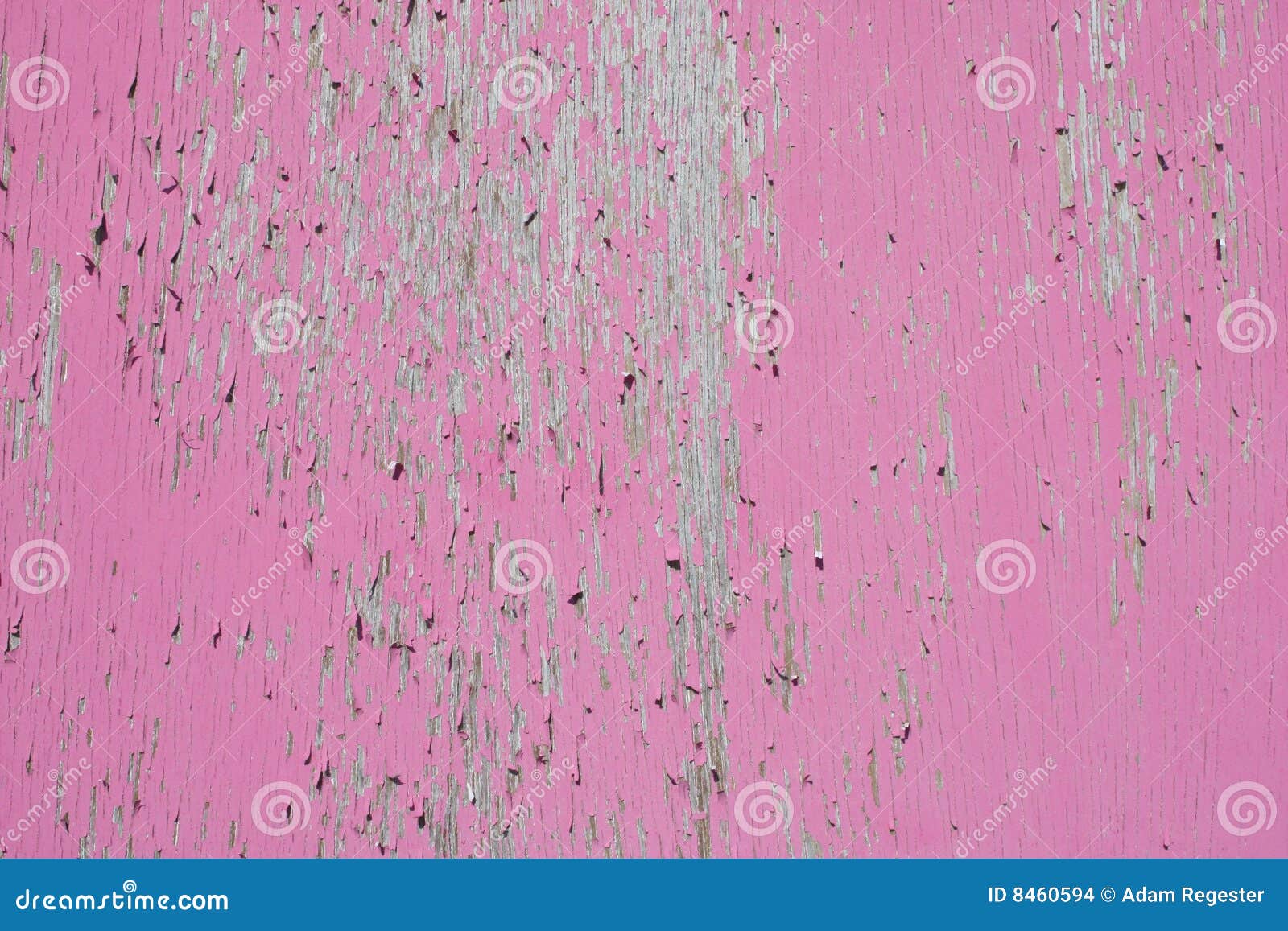 Pink Distressed Background stock photo. Image of flaking - 8460594