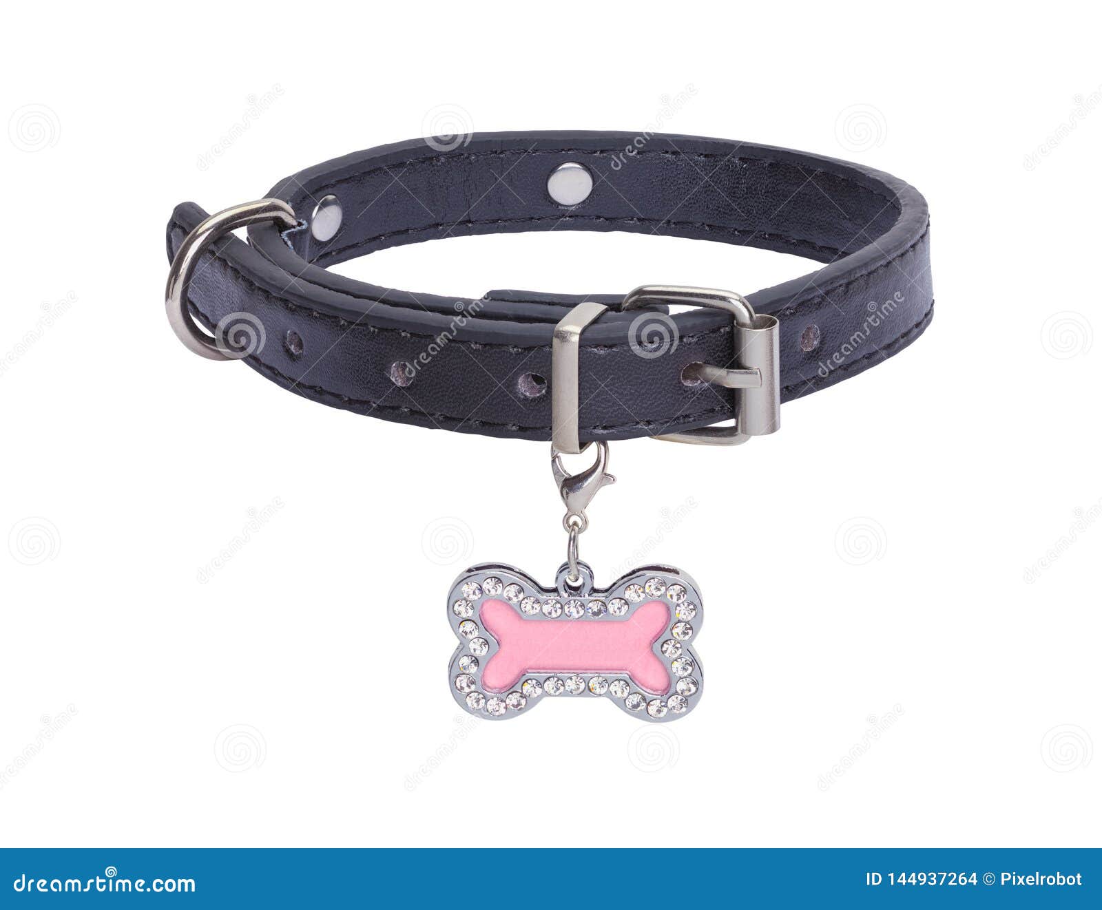 Pink Dog Bone Tag with Collar Stock Photo - Image of white, animal ...