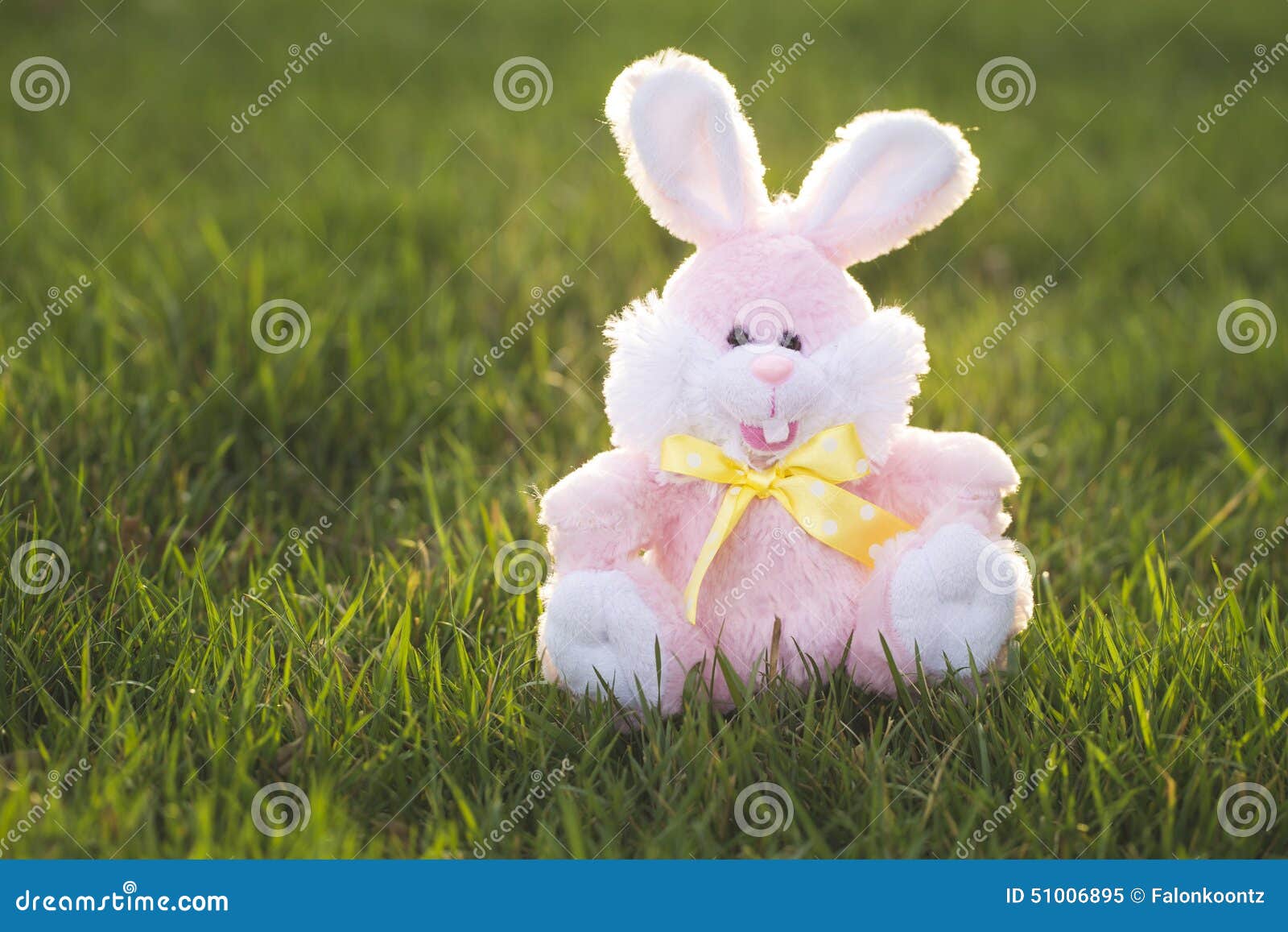 Pink Easter Bunny stock image. Image of natural, bunny - 51006895