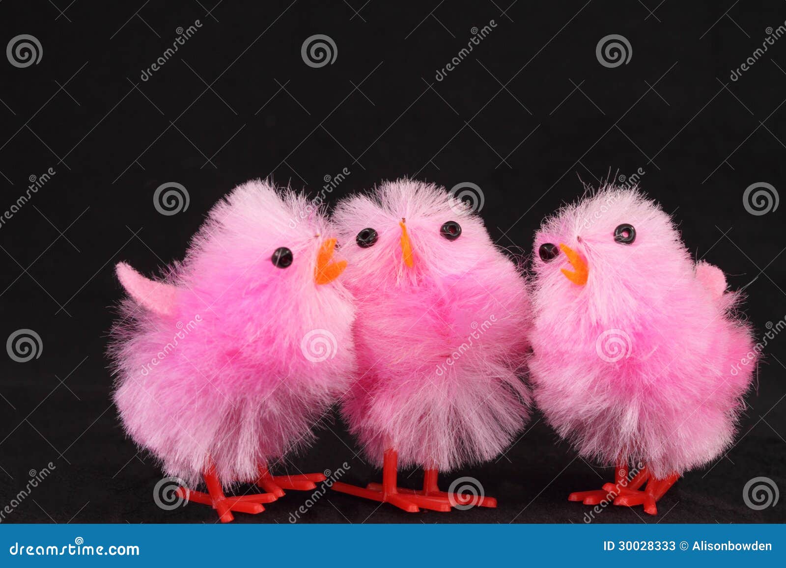 Pink Easter chicks stock image. Image of easter, manmade - 30028333