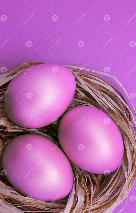 Pink Easter Eggs in a Nest with Copy Space Stock Image - Image of copy ...