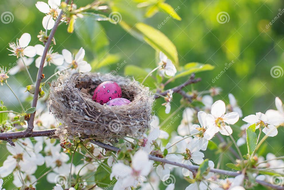 Pink Easter Eggs in Spring Orchard Stock Photo - Image of decorated ...