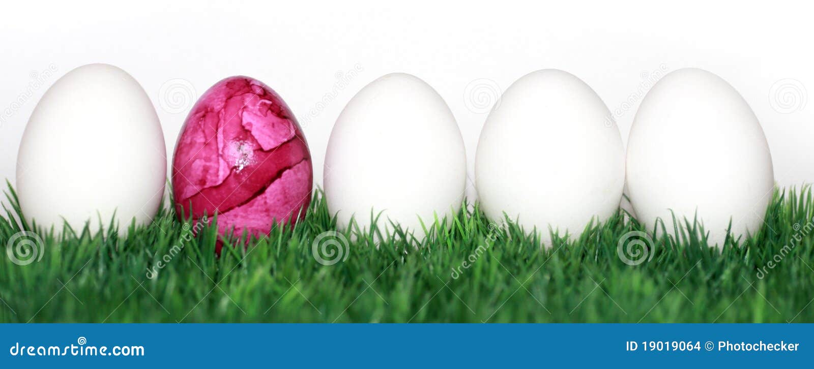 Pink egg stock photo. Image of easterbasket, isolated - 19019064