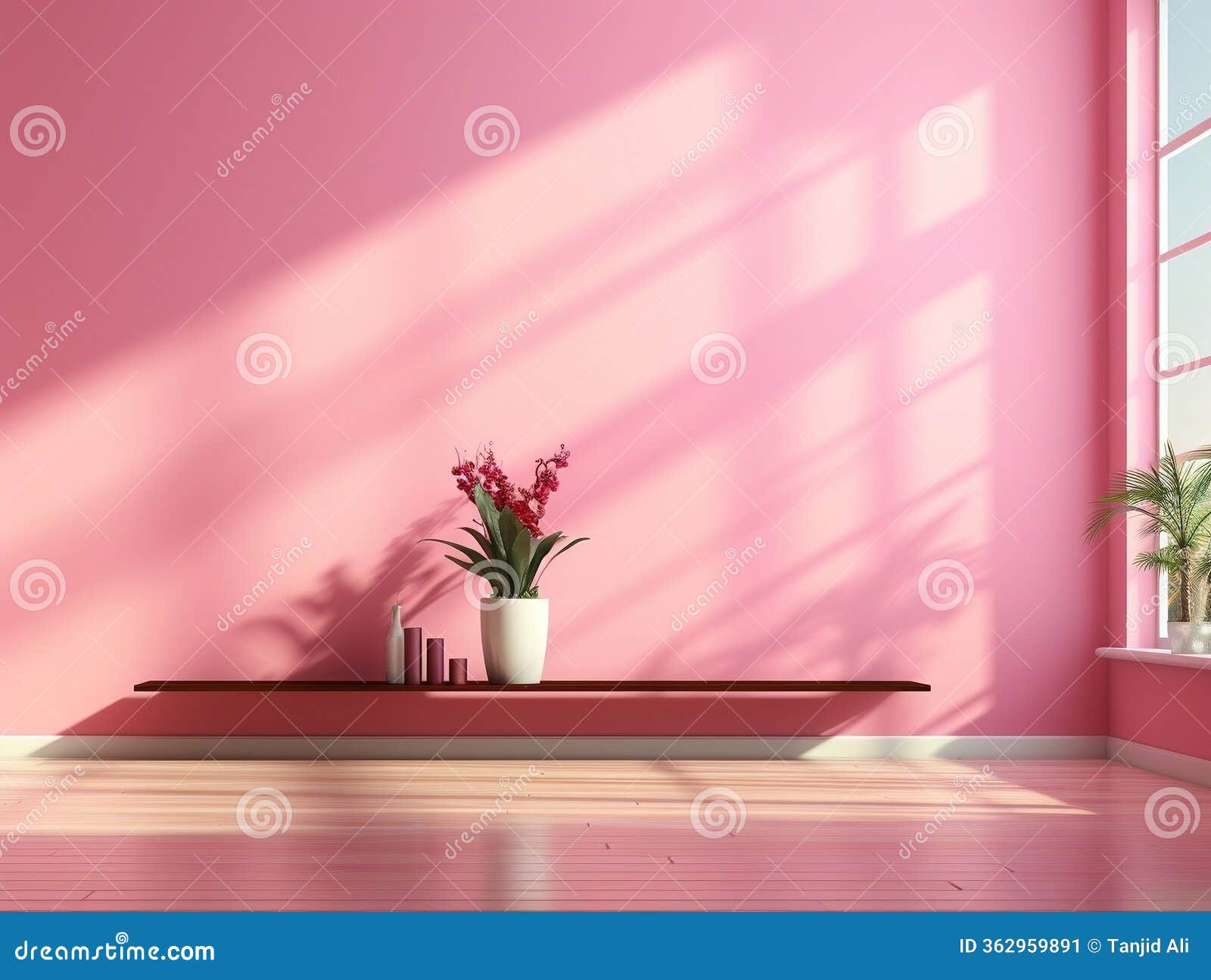 Pink Empty Room with a Window and a Beam of Sunlight Stock Illustration ...