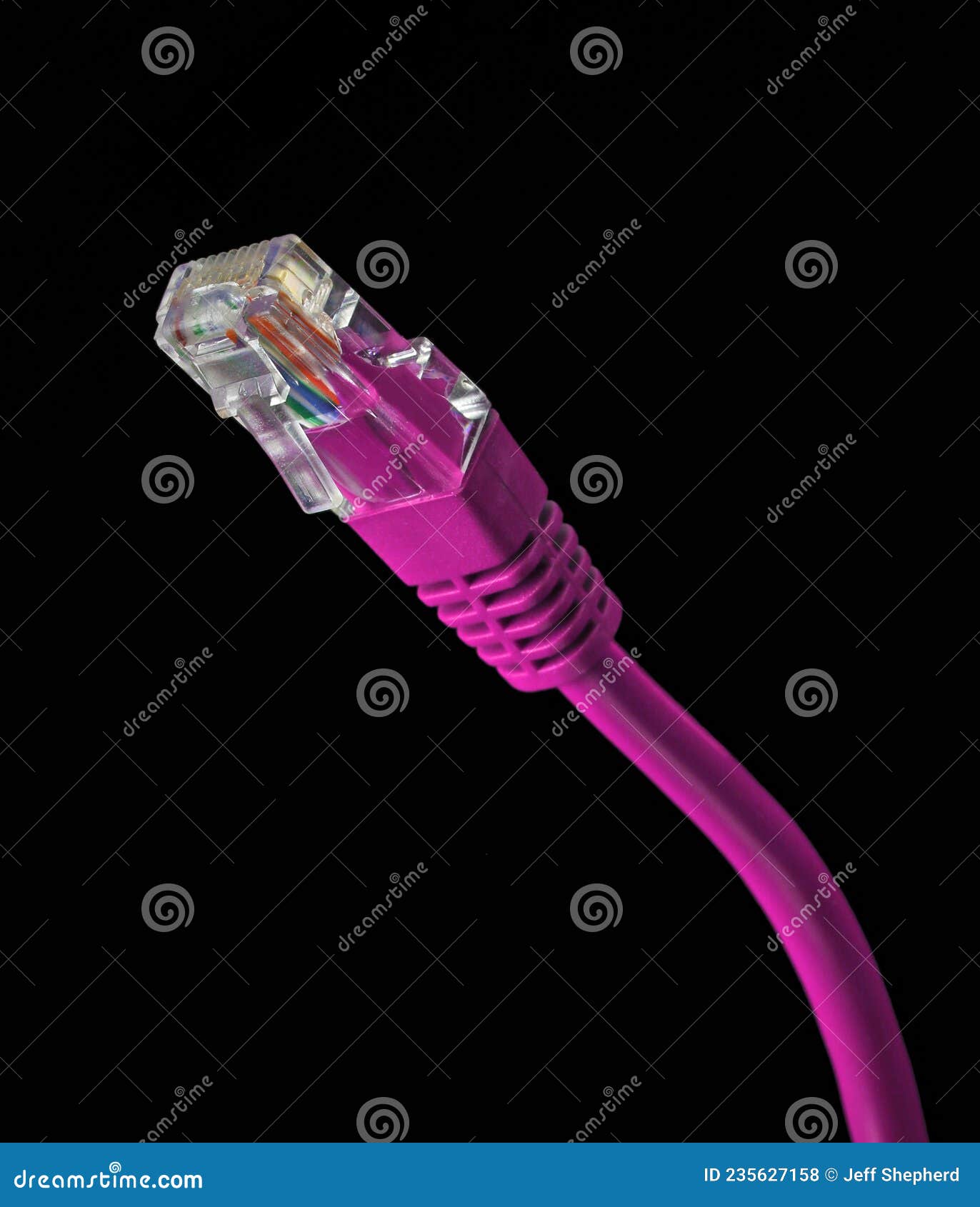 Pink Ethernet Cable stock photo. Image of switch, ethernet - 235627158