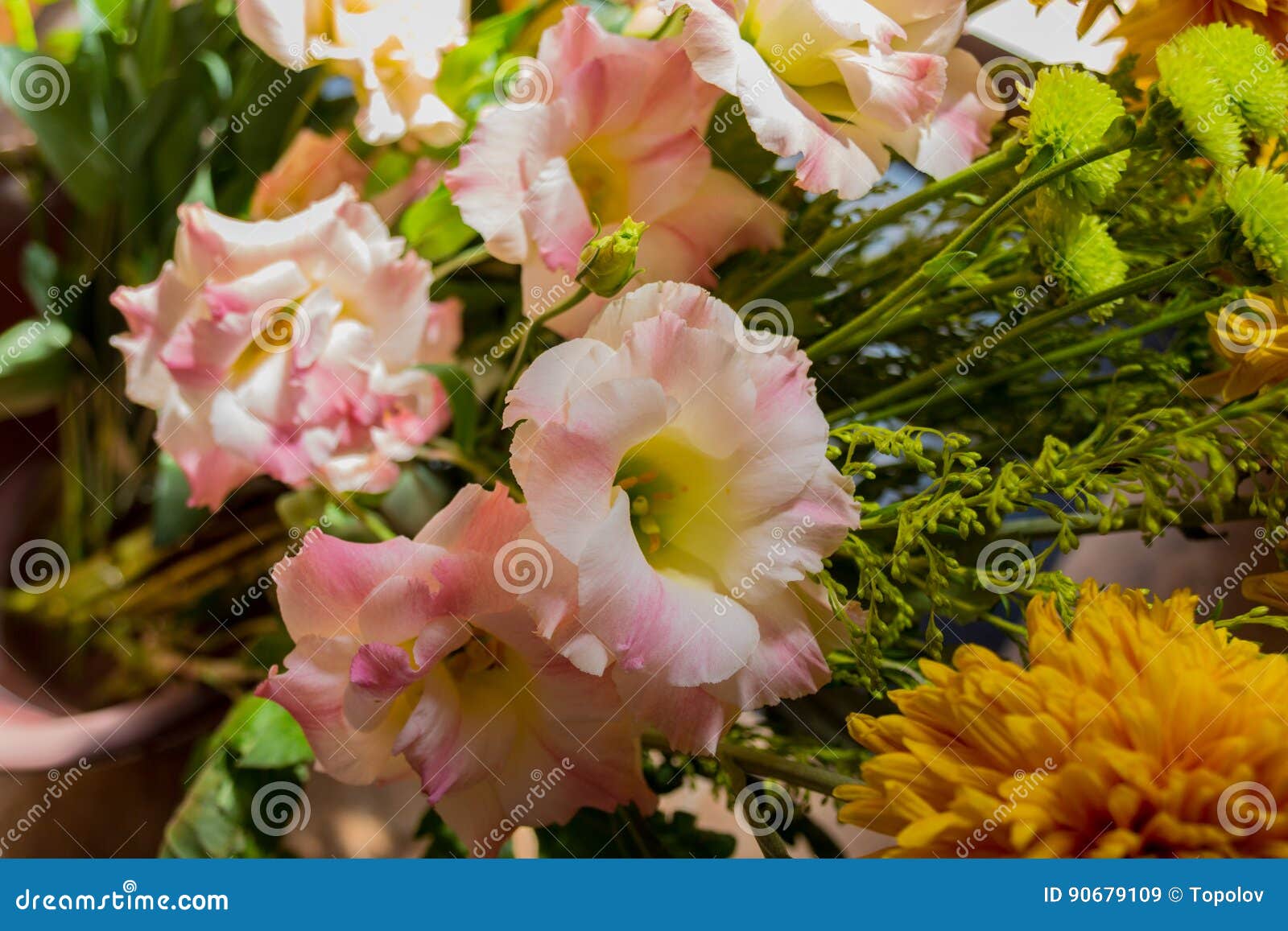 Pink eustoma flowers stock image. Image of fresh, petals - 90679109