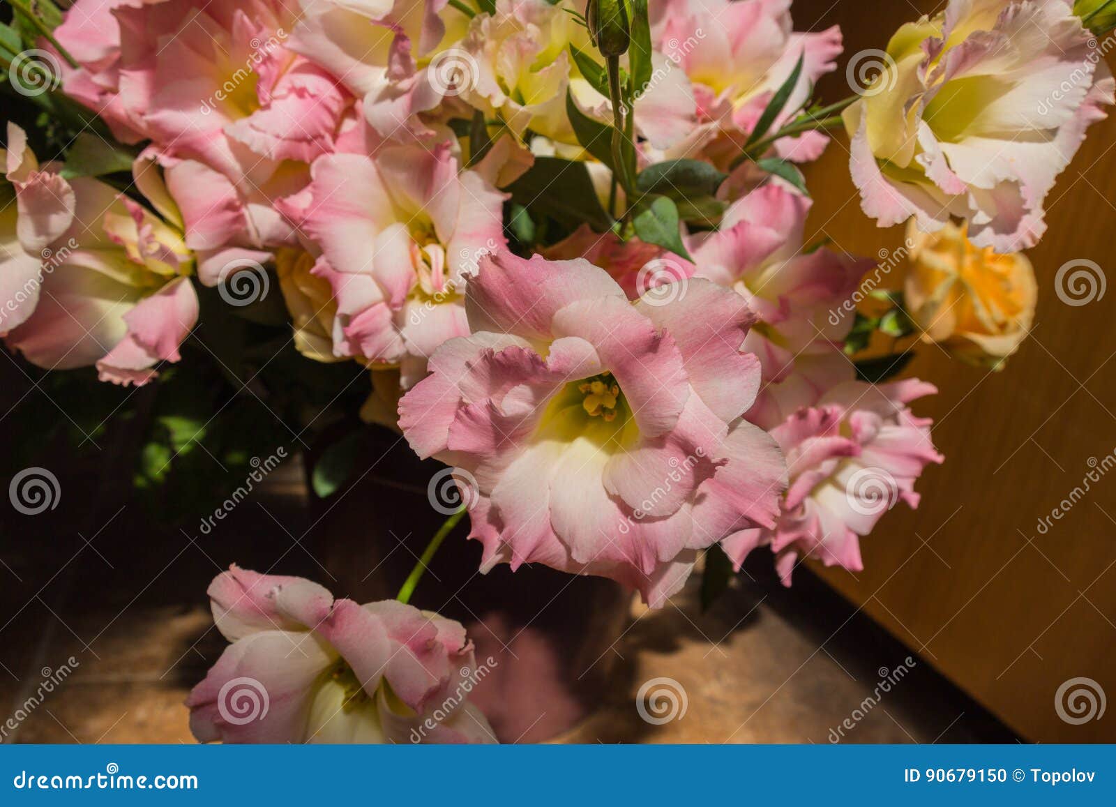 Pink eustoma flowers stock photo. Image of pink, colorful - 90679150