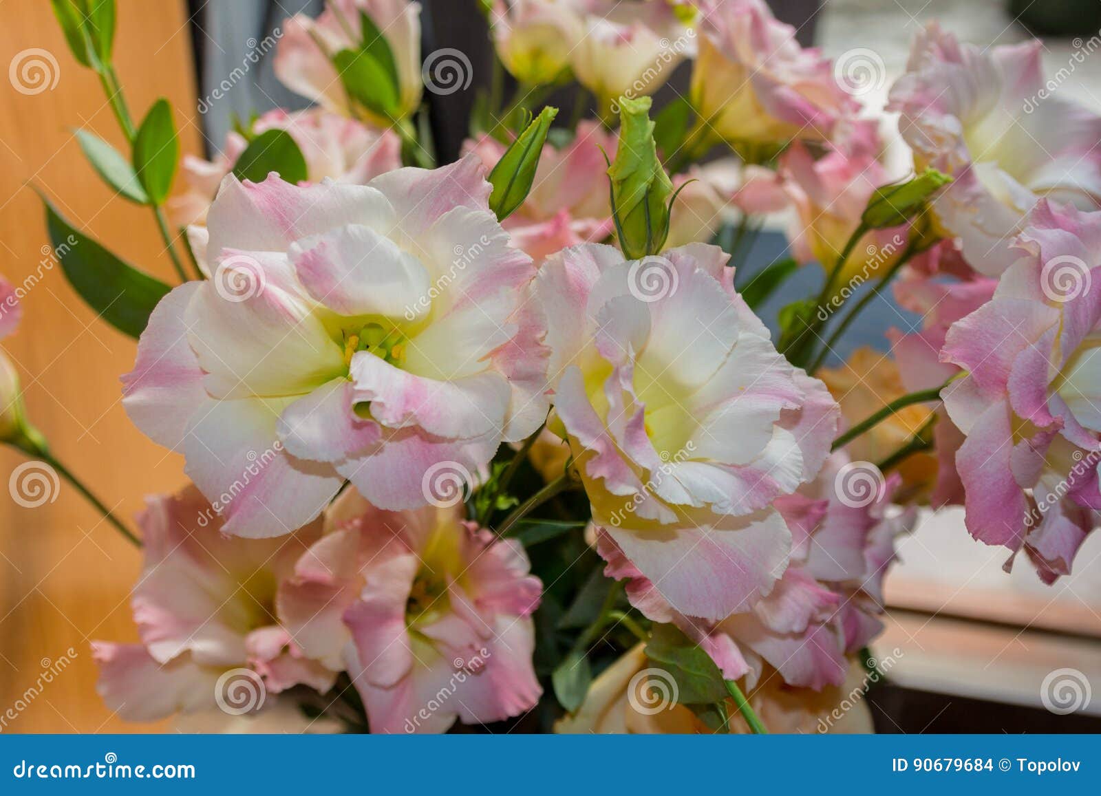 Pink eustoma flowers. stock photo. Image of leaves, vivid - 90679684