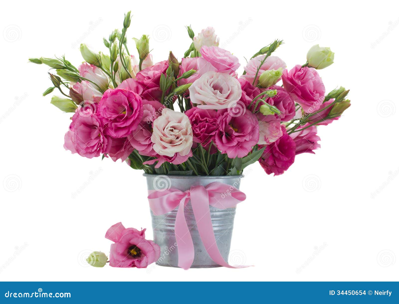 Pink Eustomas In Flower Pot Stock Photo - Image of bouquet, blooms ...