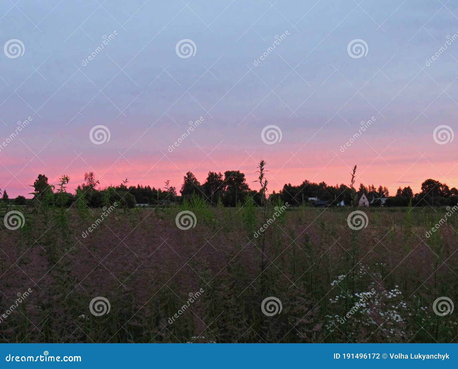 Pink Evening Sky during Sunset Stock Photo - Image of contrast, season ...