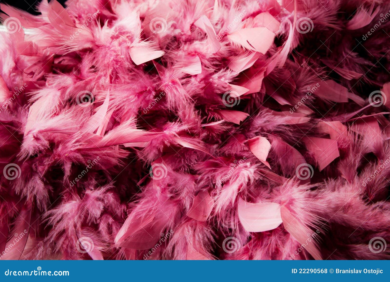 Pink Feather On White Fabric Royalty-Free Stock Photo | CartoonDealer ...